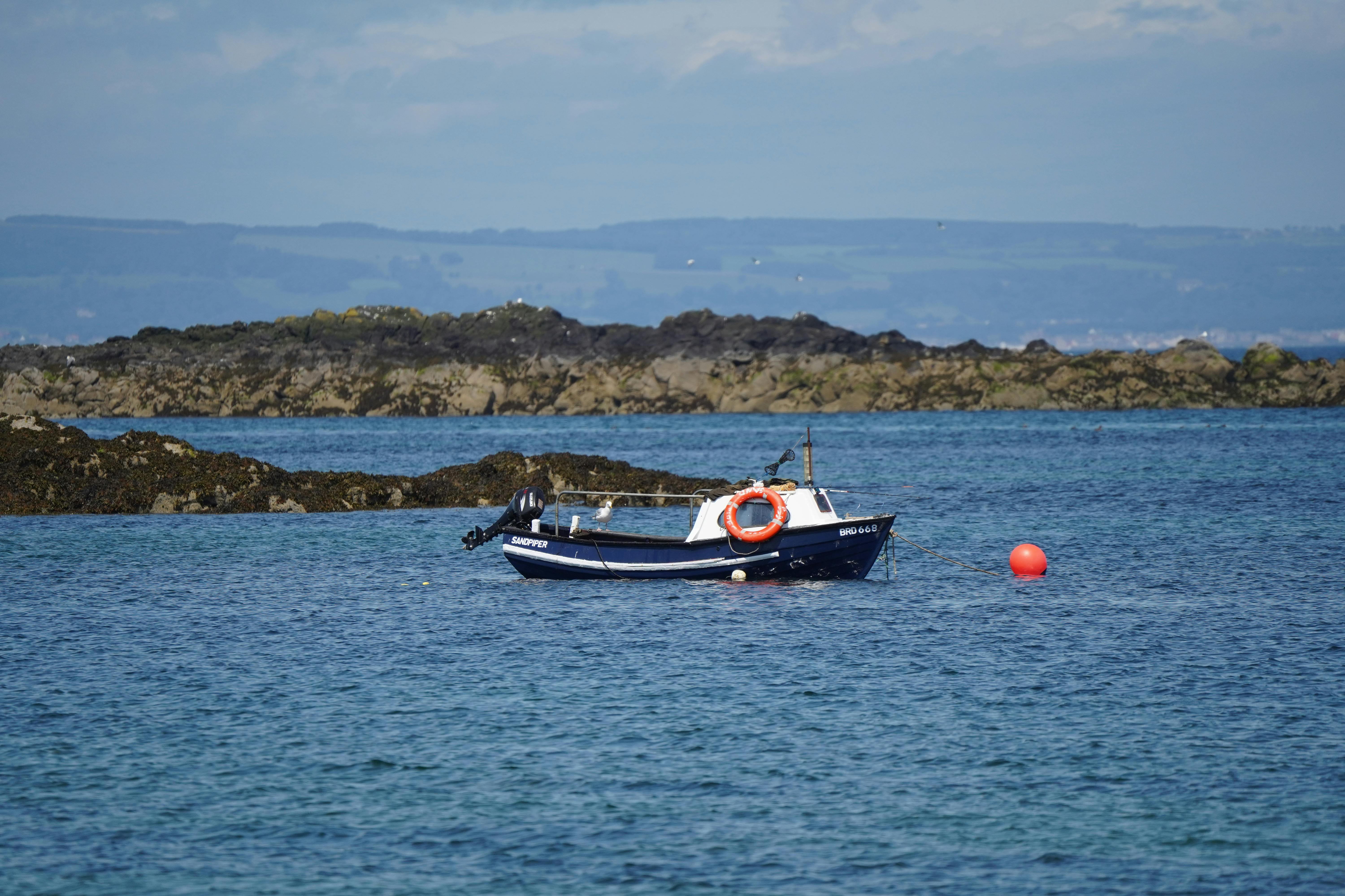 4k Moewall Photos, Download The BEST Free 4k Moewall Stock Photos & HD ...