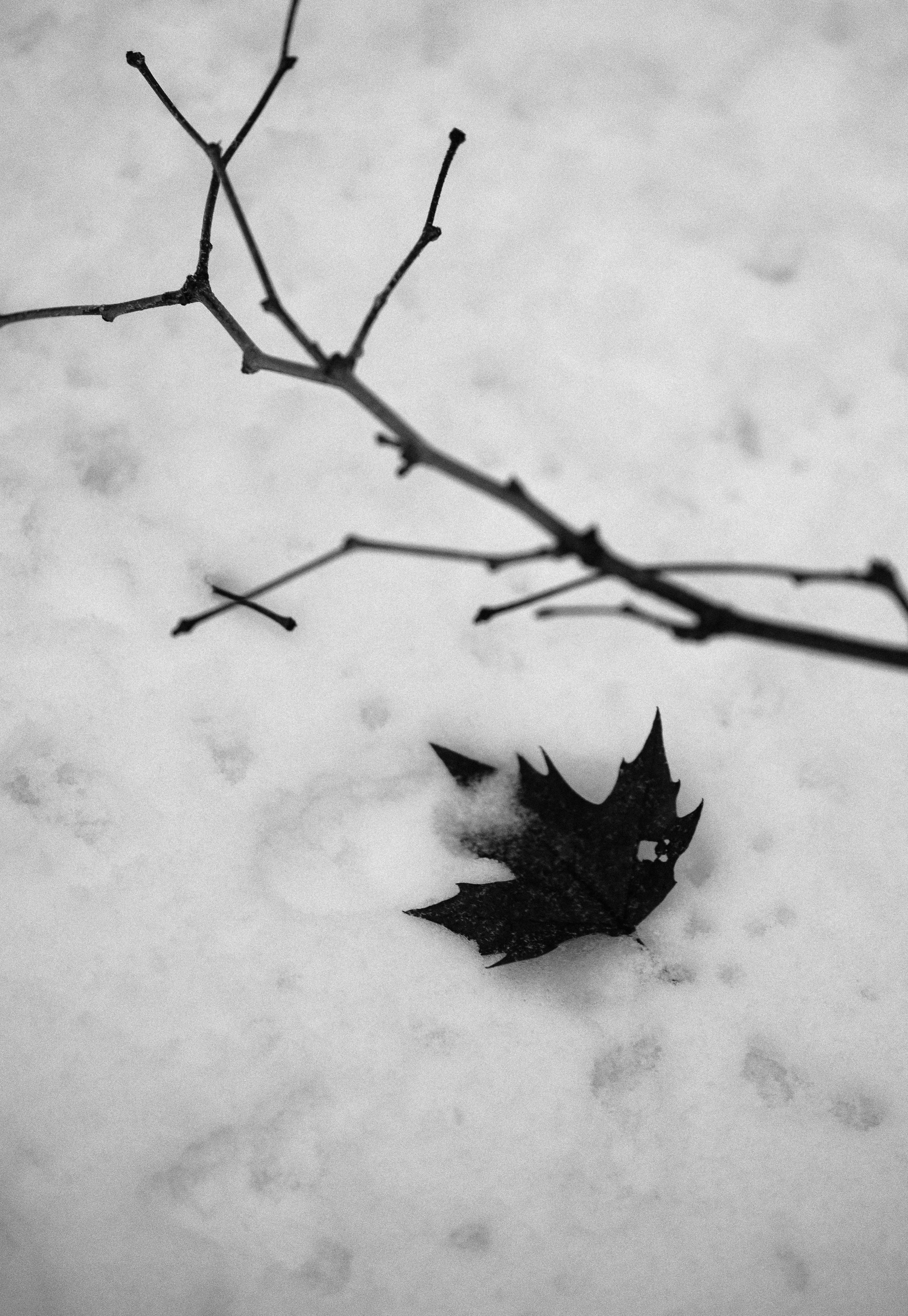 Clean Pfp Photos, Download The BEST Free Clean Pfp Stock Photos & HD Images