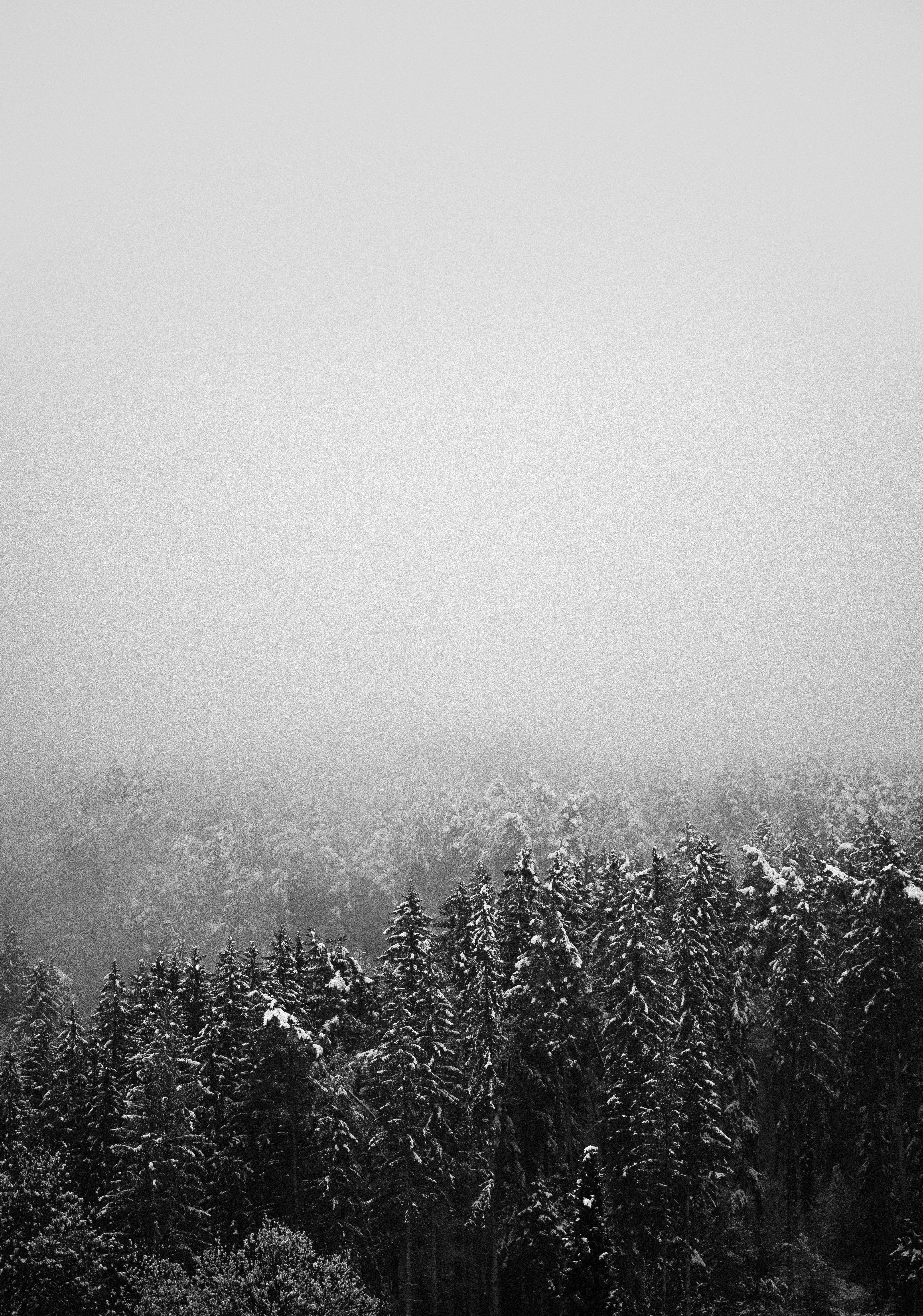 PIC MATTI - Photography