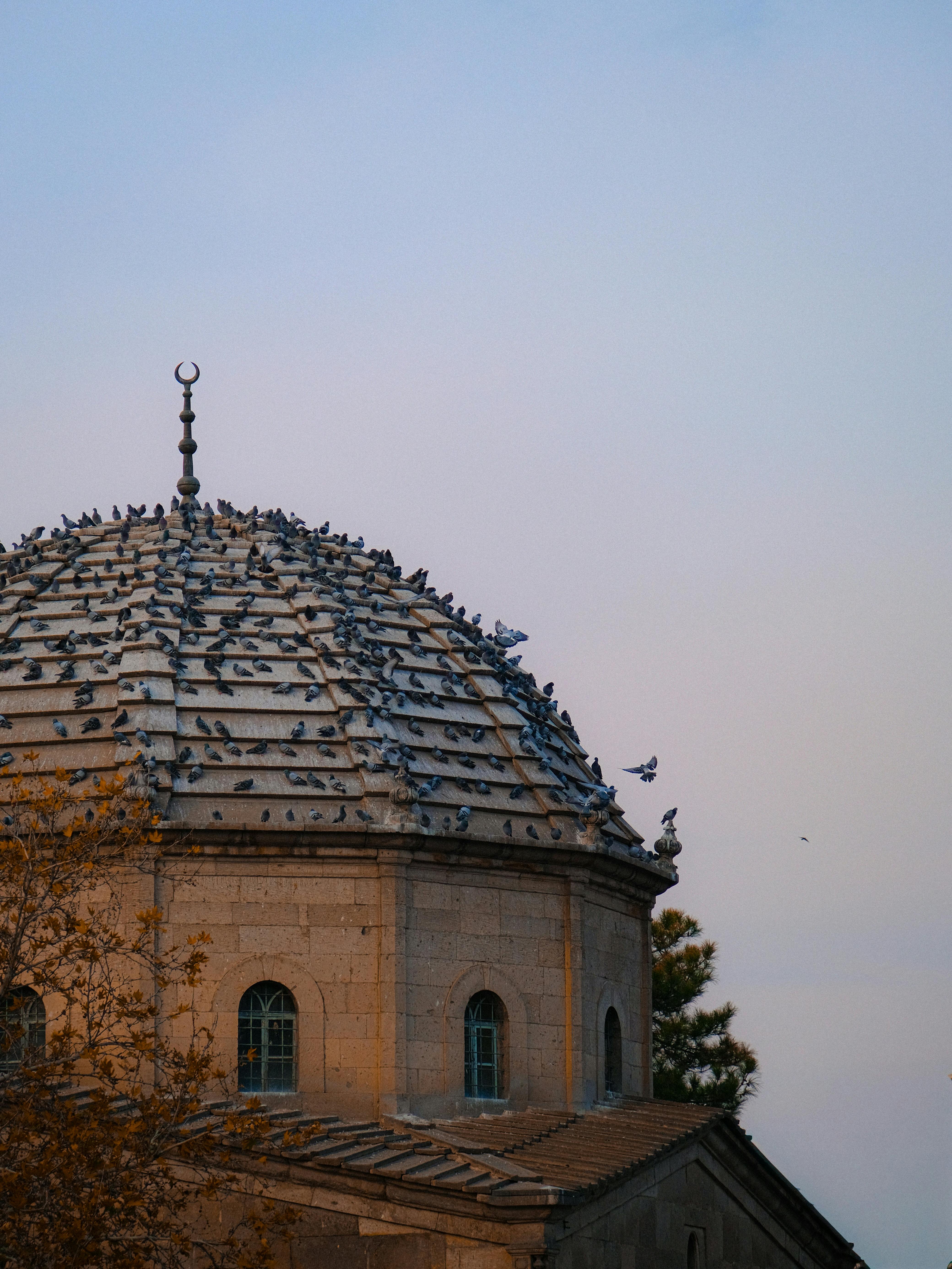 Ligth+Window Photos, Download The BEST Free Ligth+Window Stock Photos ...