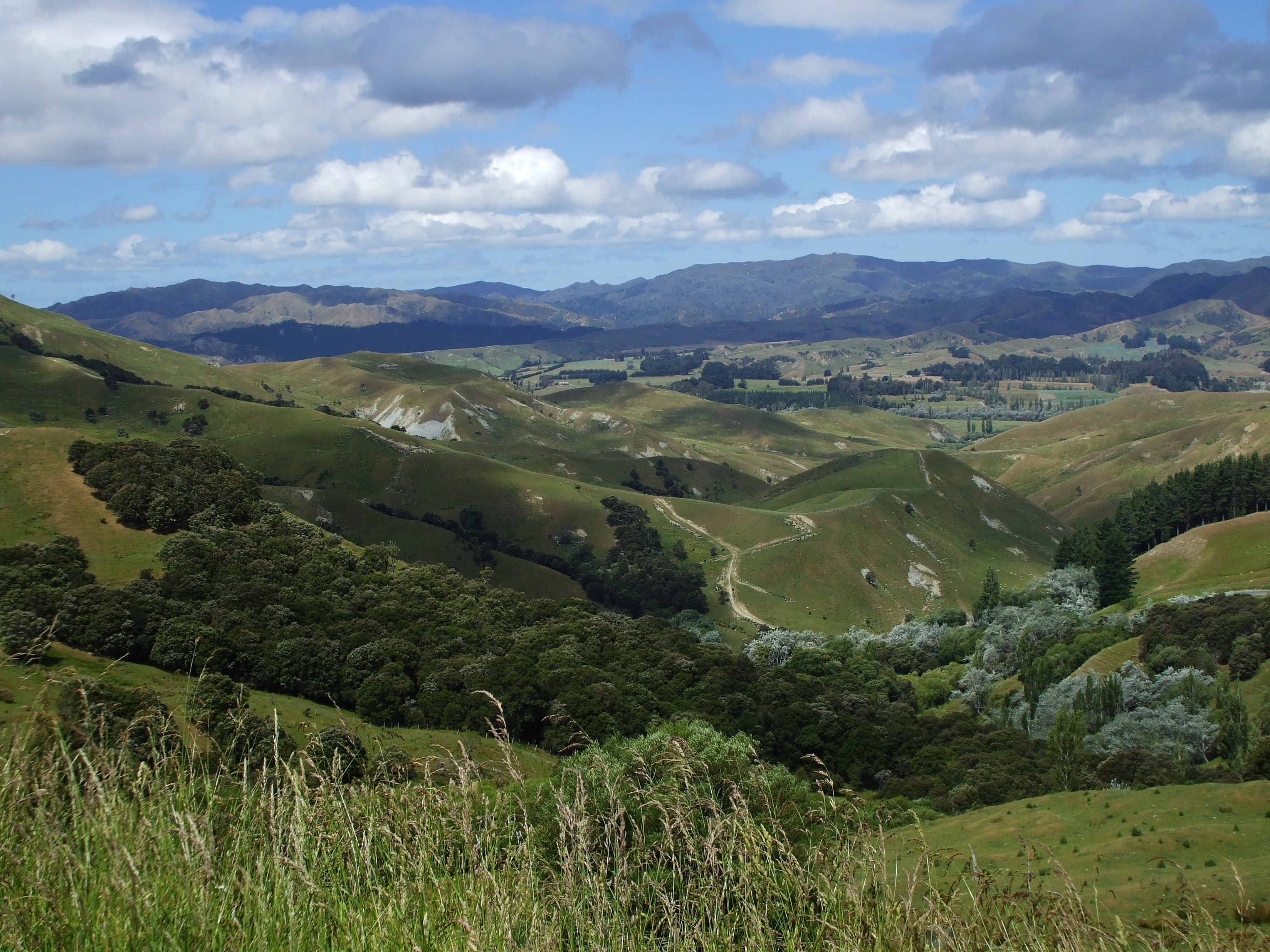 Vista Panorâmica De Colinas E Montanhas Ondulantes Em Verdes Vibrantes ...