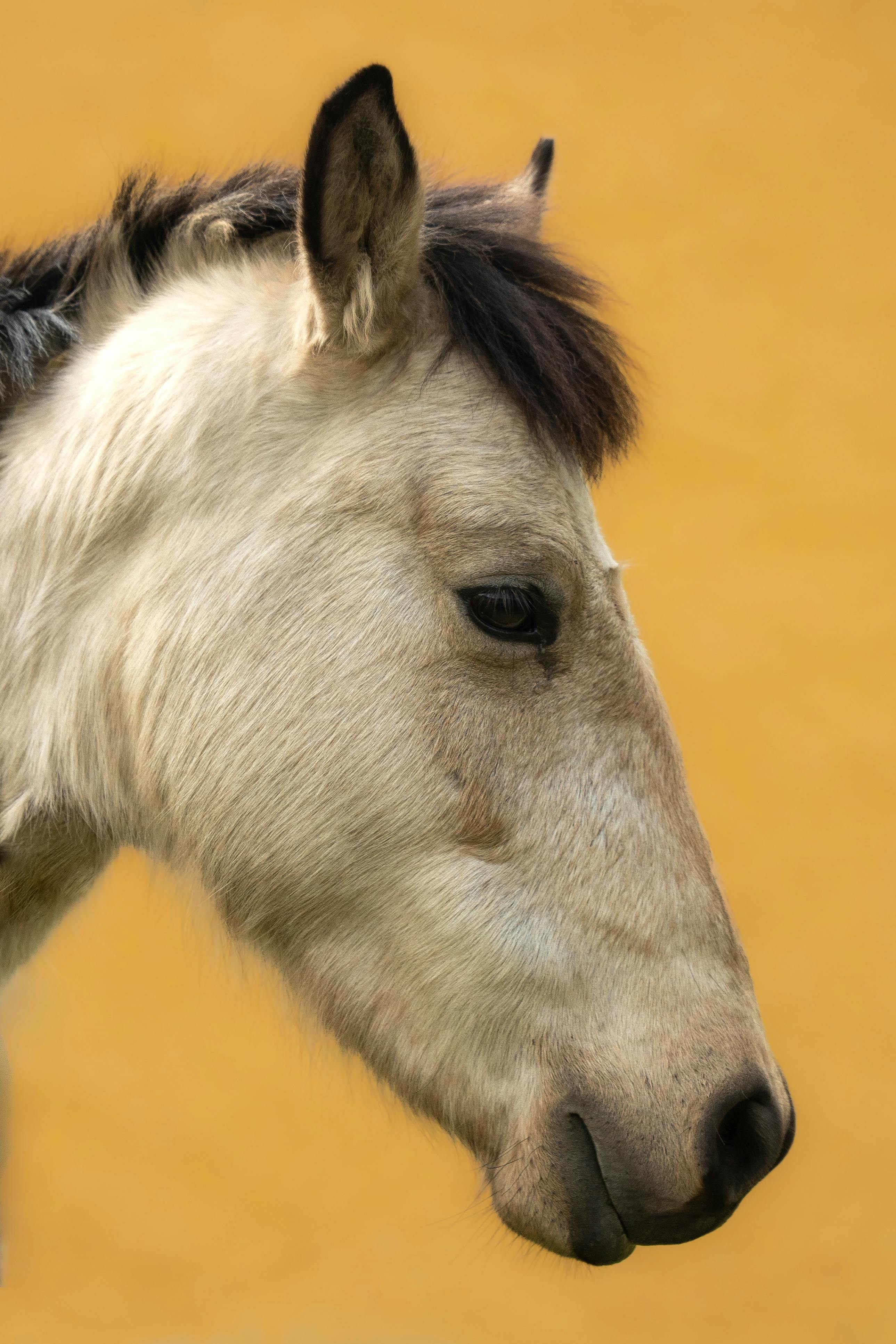 Check+Book+Images Photos, Download The BEST Free Check+Book+Images ...