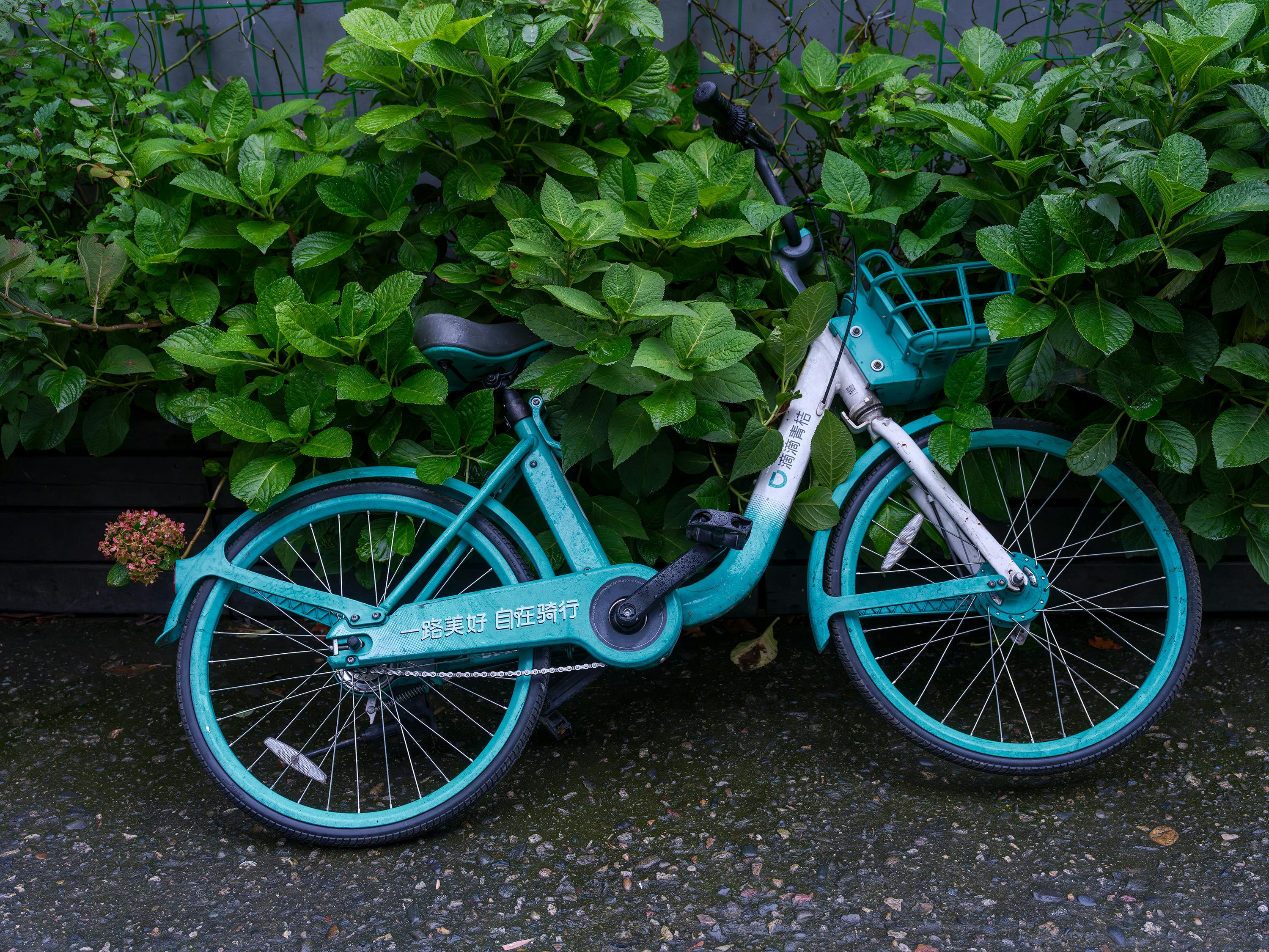 Free+Search+Url Photos, Download The BEST Free Free+Search+Url Stock ...