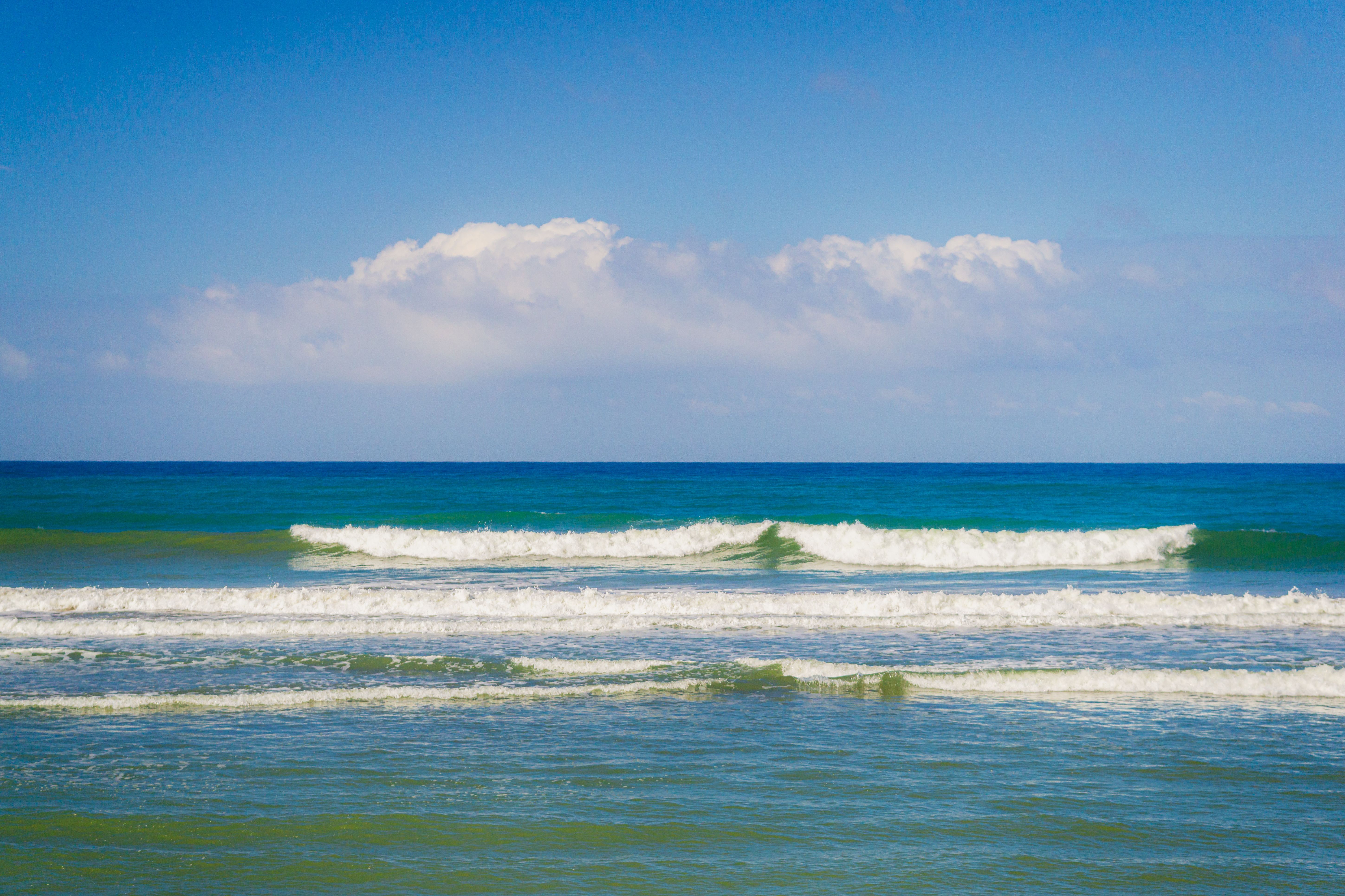People at Seashore · Free Stock Photo