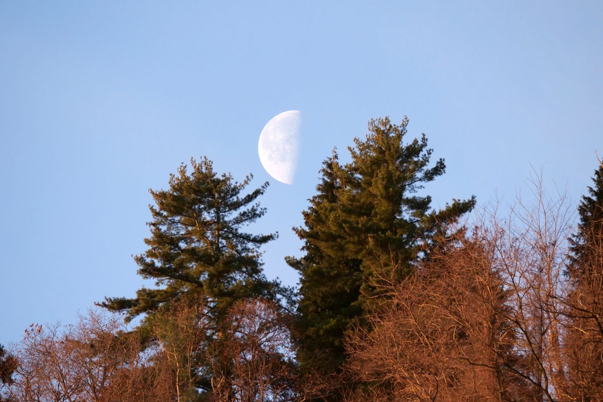 Half Moon Photos, Download The BEST Free Half Moon Stock Photos & HD Images