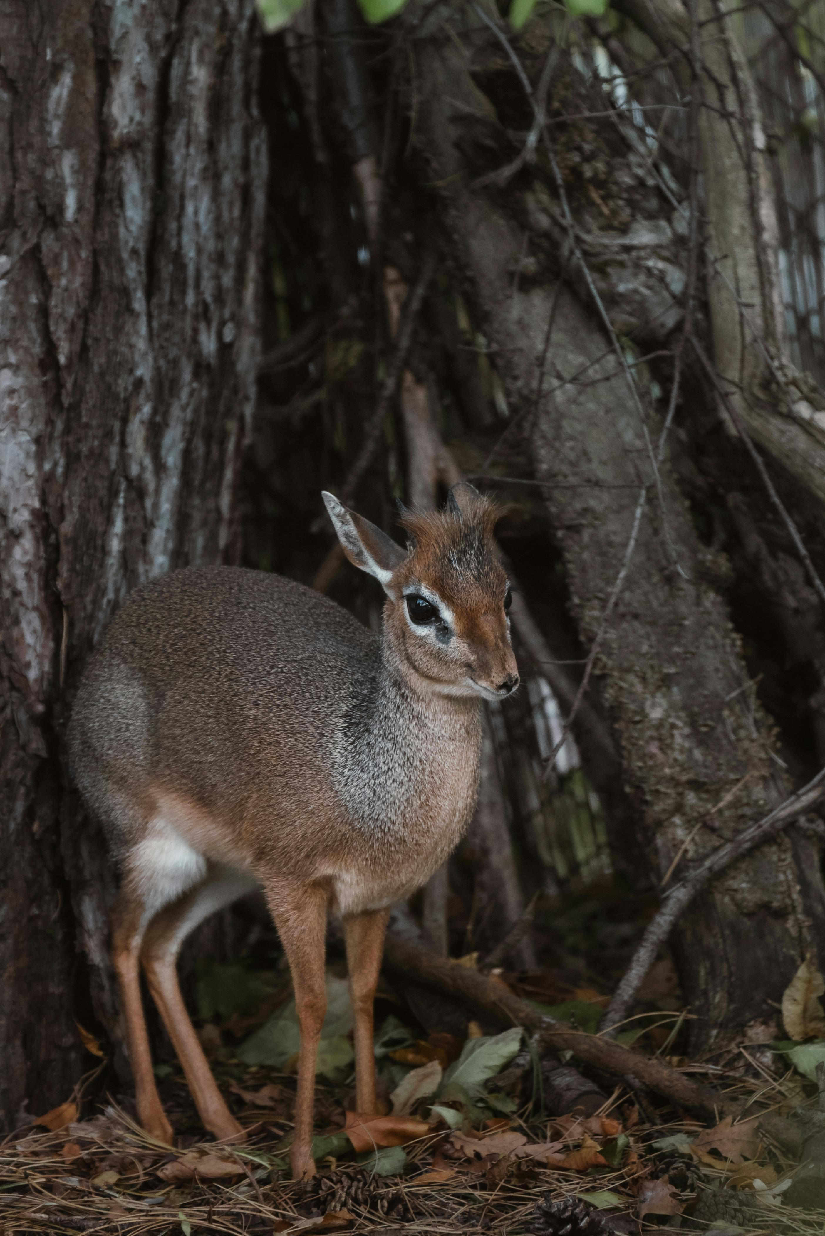 60.000+ Foto Wallpaper Maker Microsoft Terbaik · Unduh Gratis 100% ...