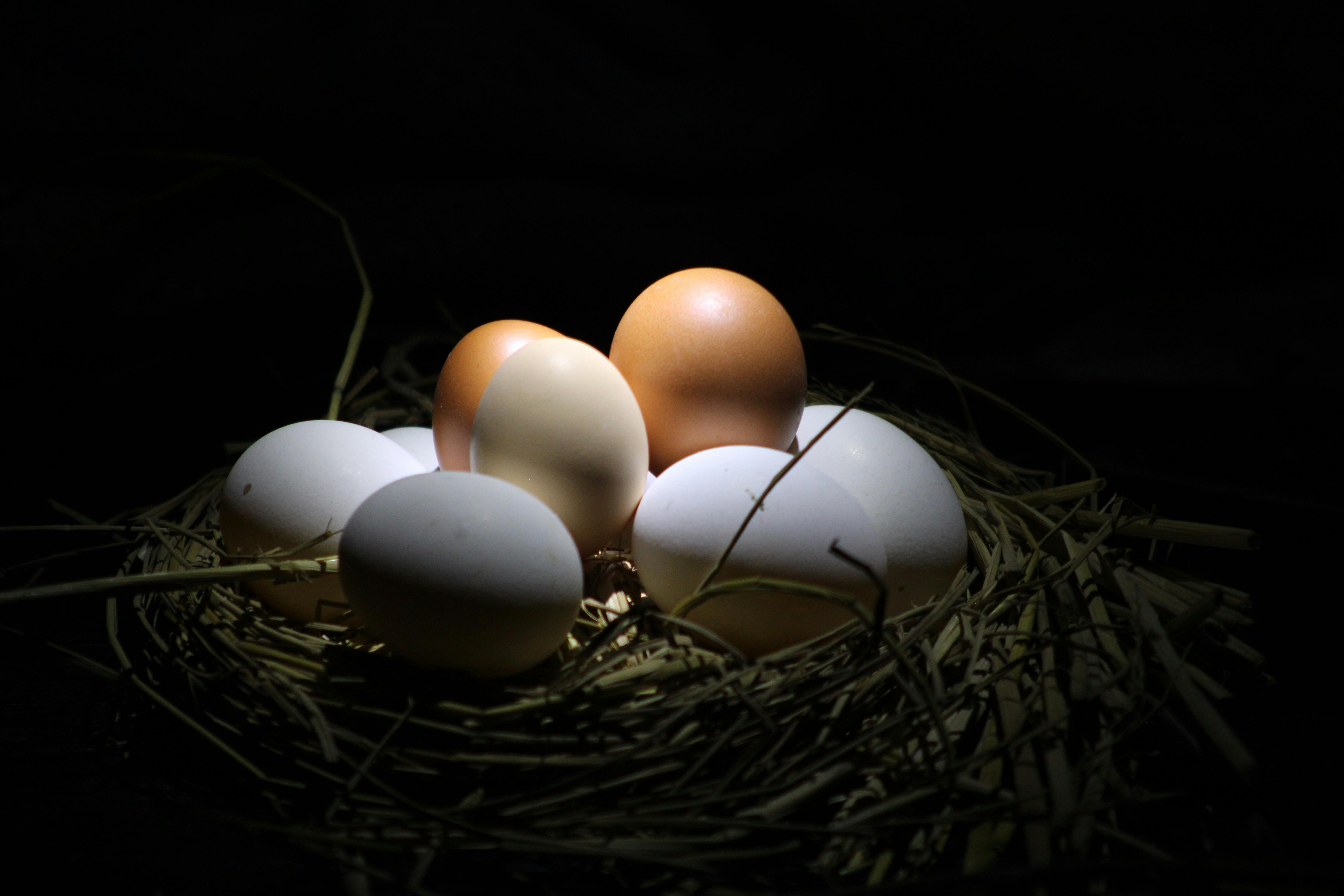 Free+Fee+At Photos, Download The BEST Free Free+Fee+At Stock Photos ...