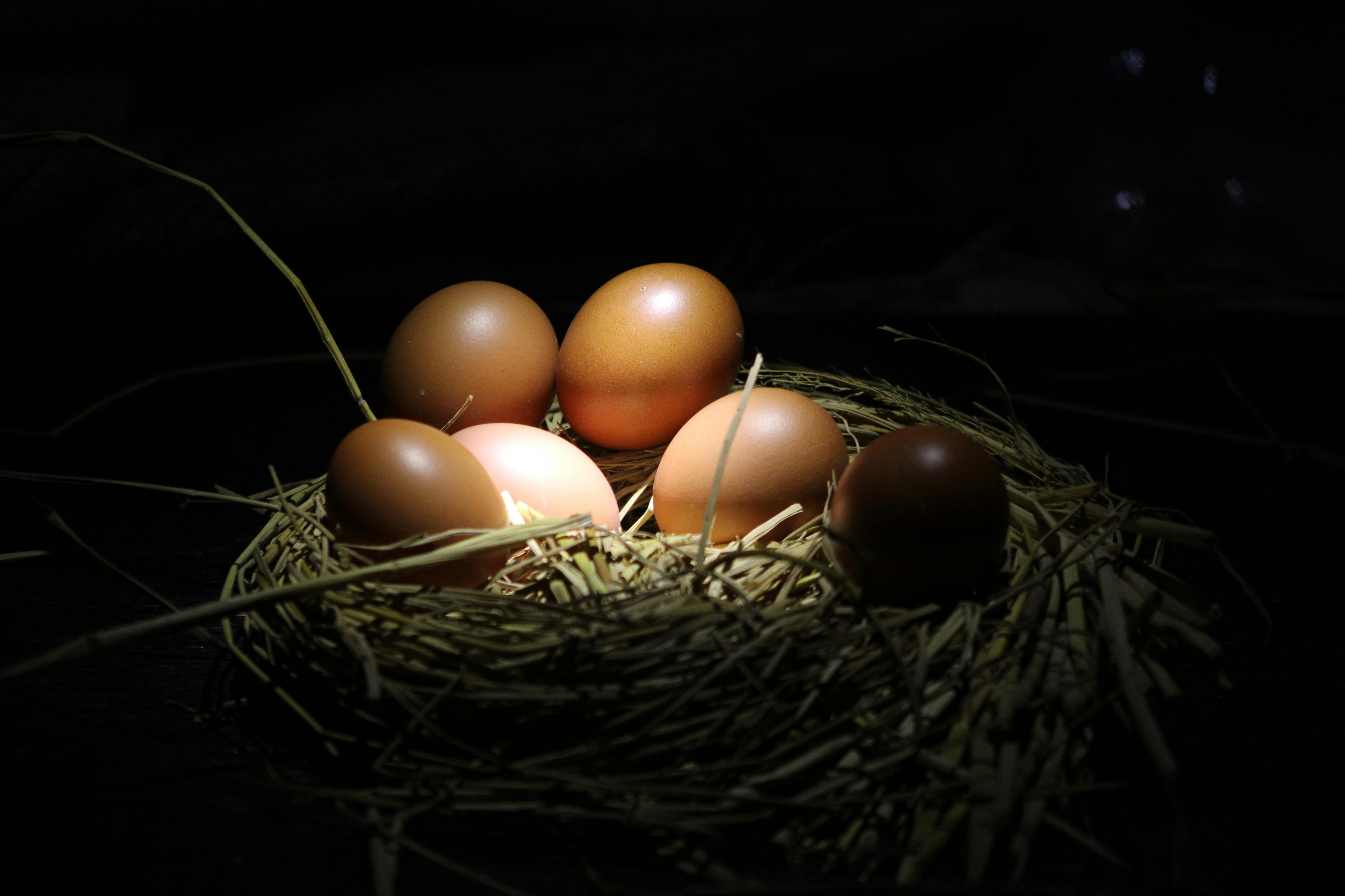 Free+Fee+At Photos, Download The BEST Free Free+Fee+At Stock Photos ...