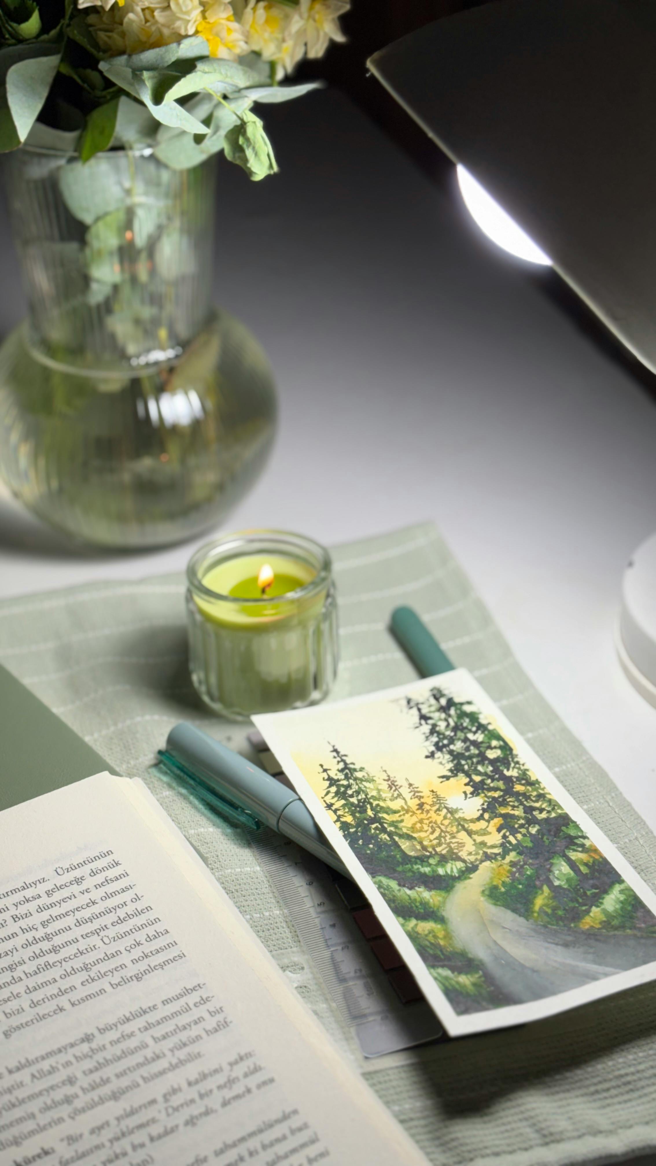 Clean Pfp Photos, Download The BEST Free Clean Pfp Stock Photos & HD Images