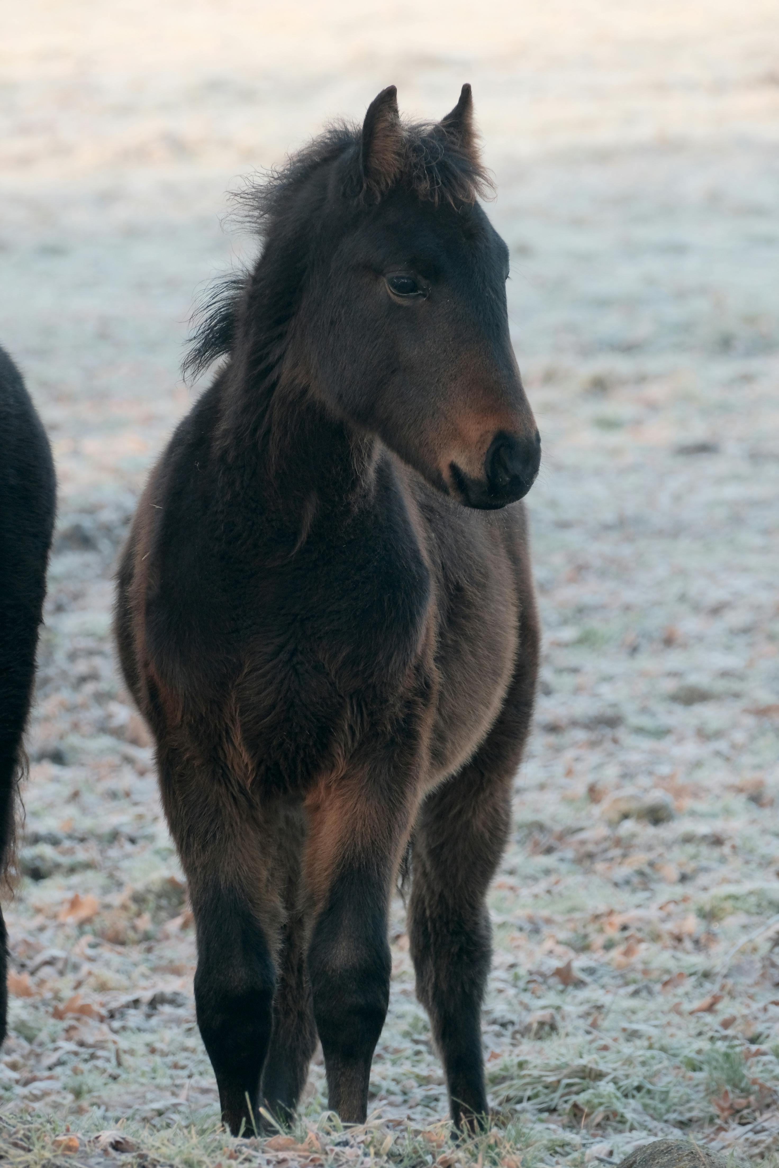 Free+Download+6+Minutes Photos, Download The BEST Free Free+Download+6 ...