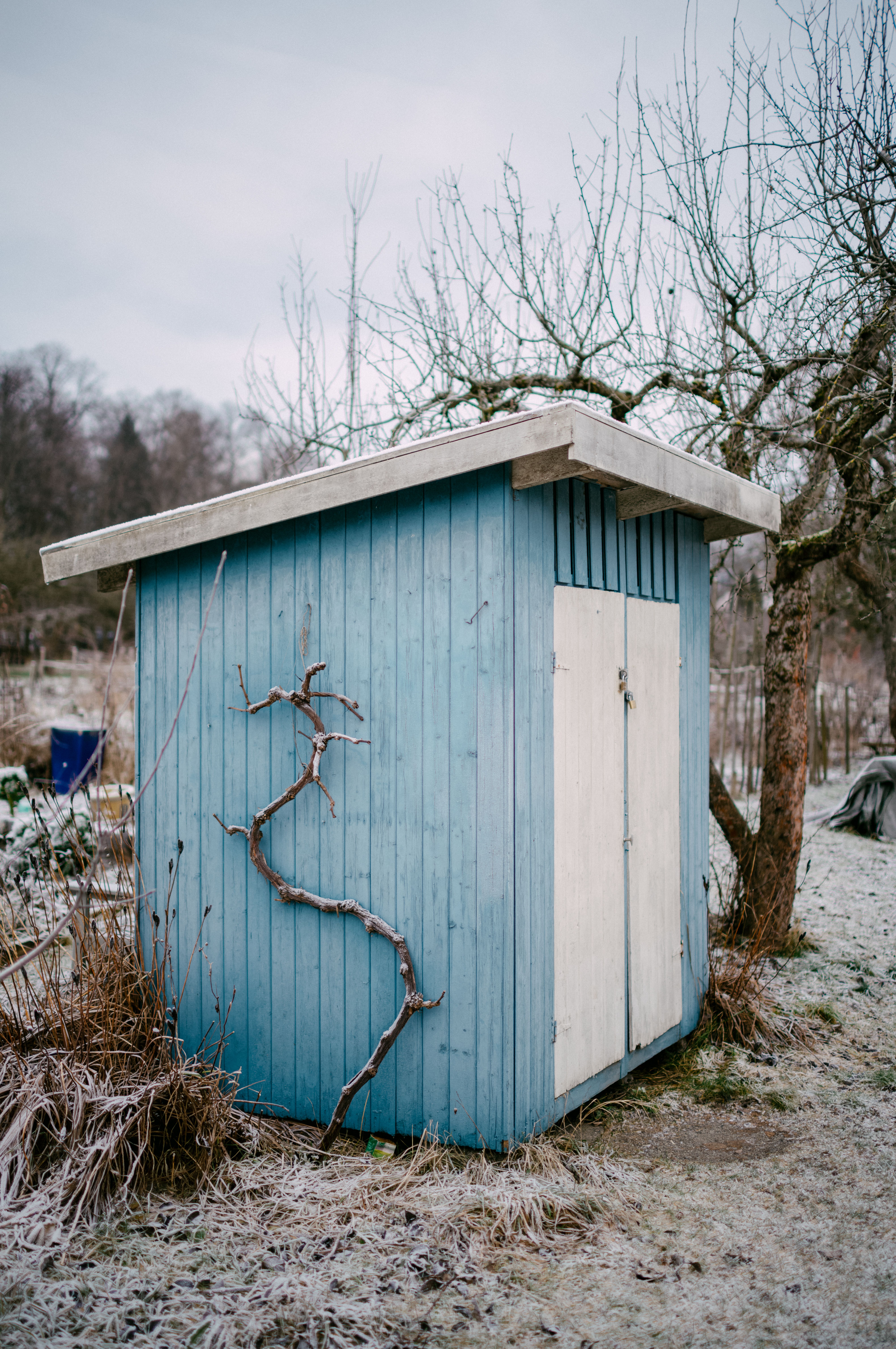 Rustic Blue Shed in Frosty Winter Landscape · Free Stock Photo