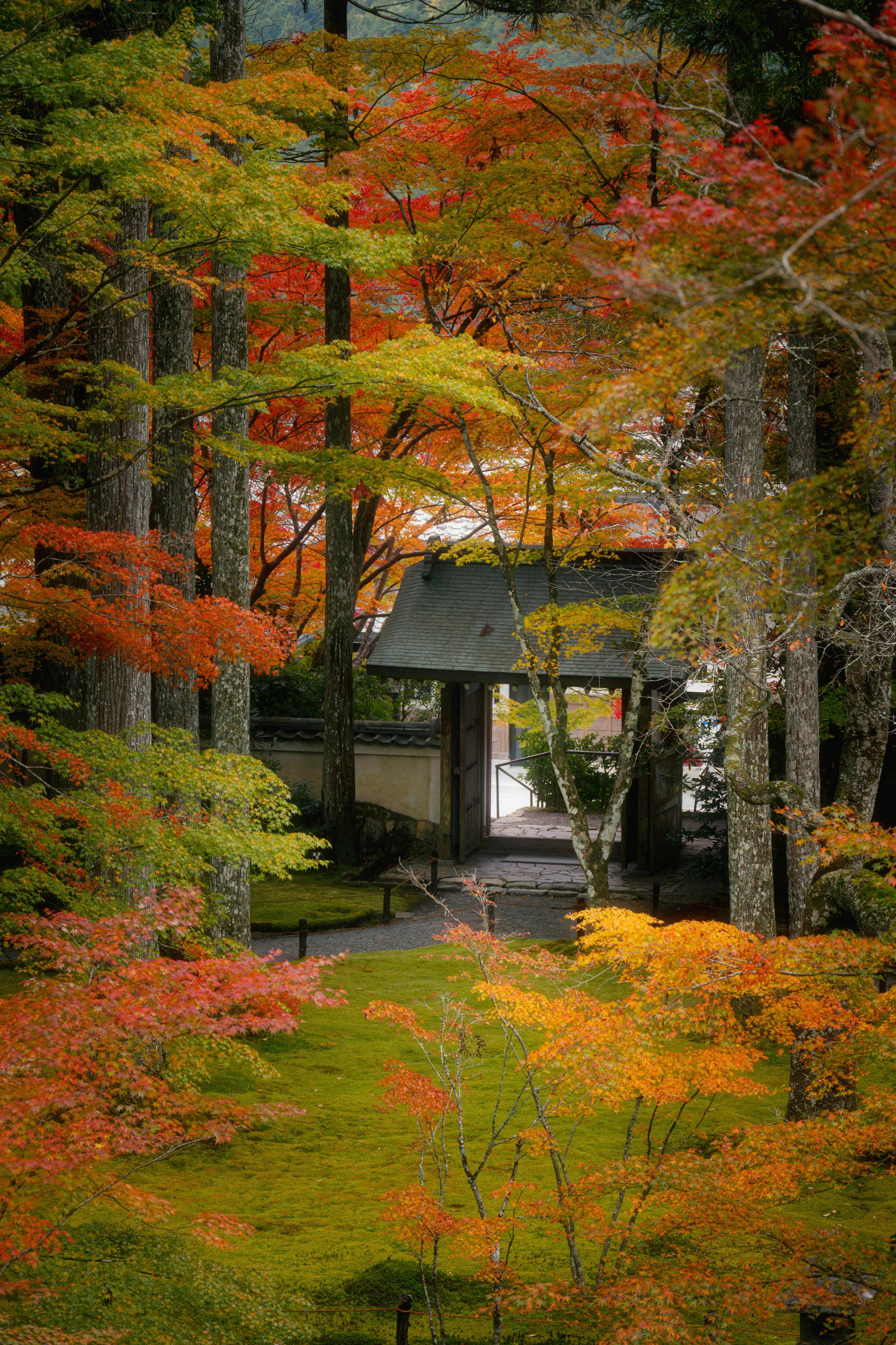 Bokep+Japan+Montok+Pelajar Photos, Download The BEST Free Bokep+Japan+Montok+Pelajar Stock ...