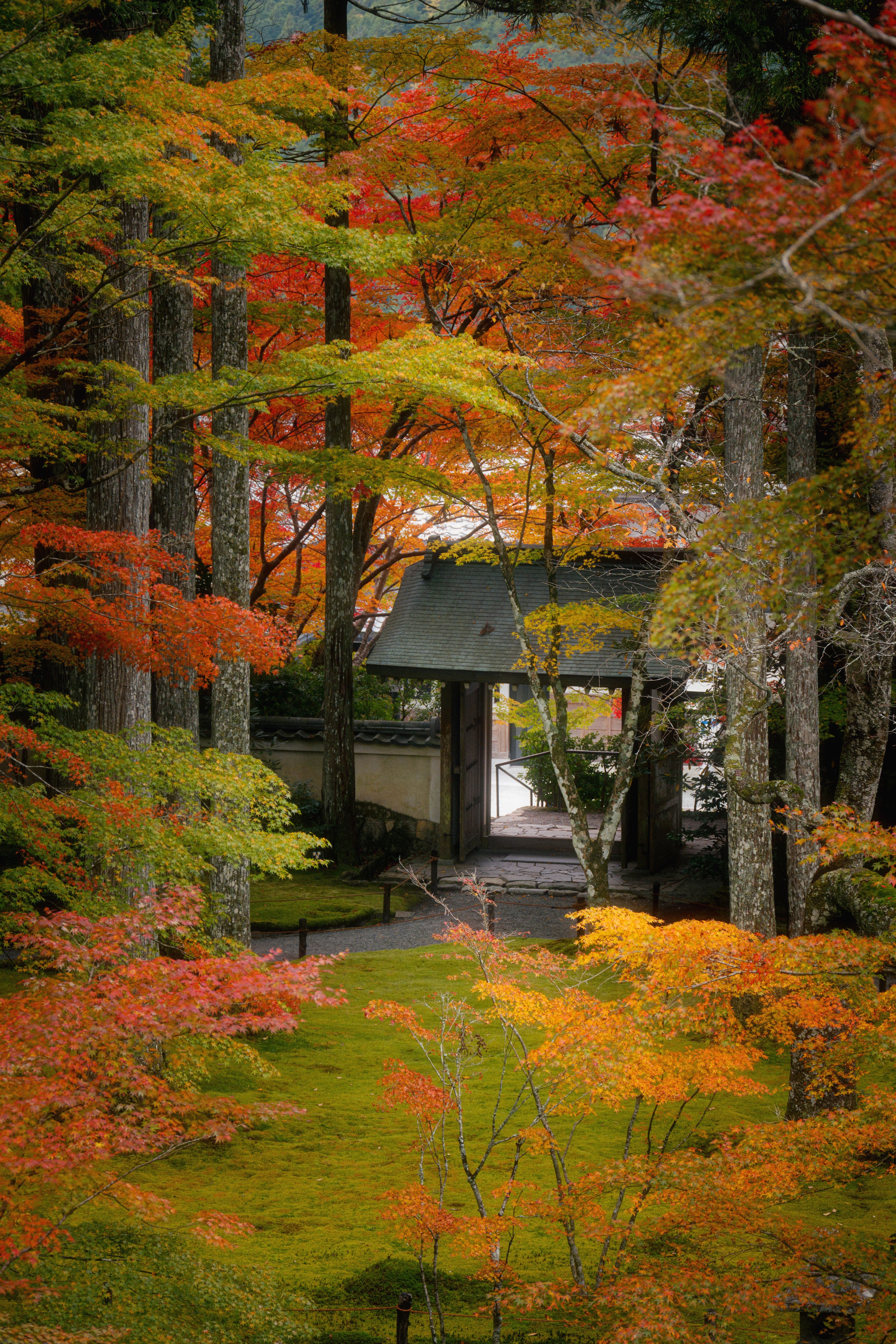Serene Autumn Japanese Garden Gate Scene · Free Stock Photo