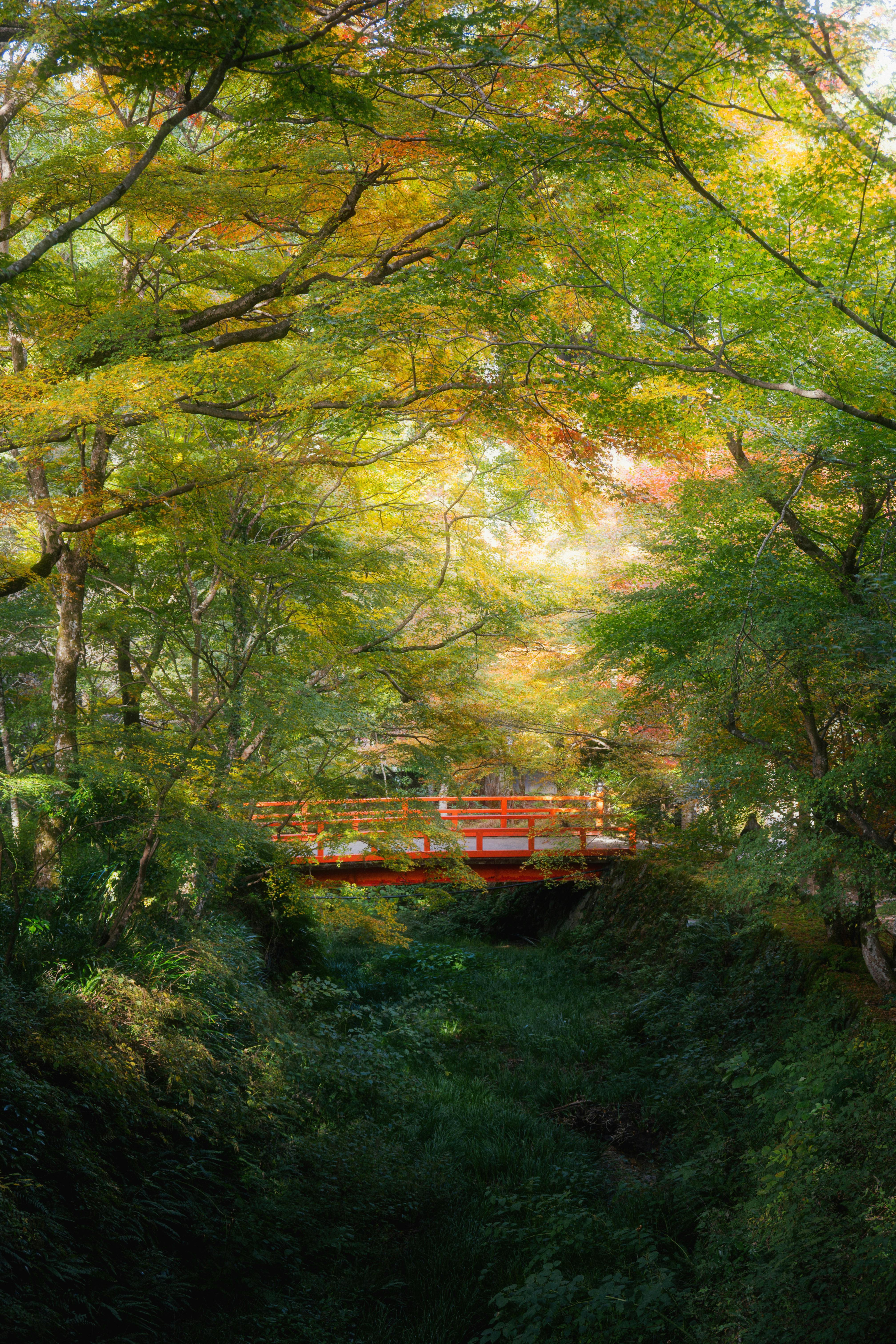 Bokep+Japan+Montok+Pelajar Photos, Download The BEST Free Bokep+Japan+Montok+Pelajar Stock ...