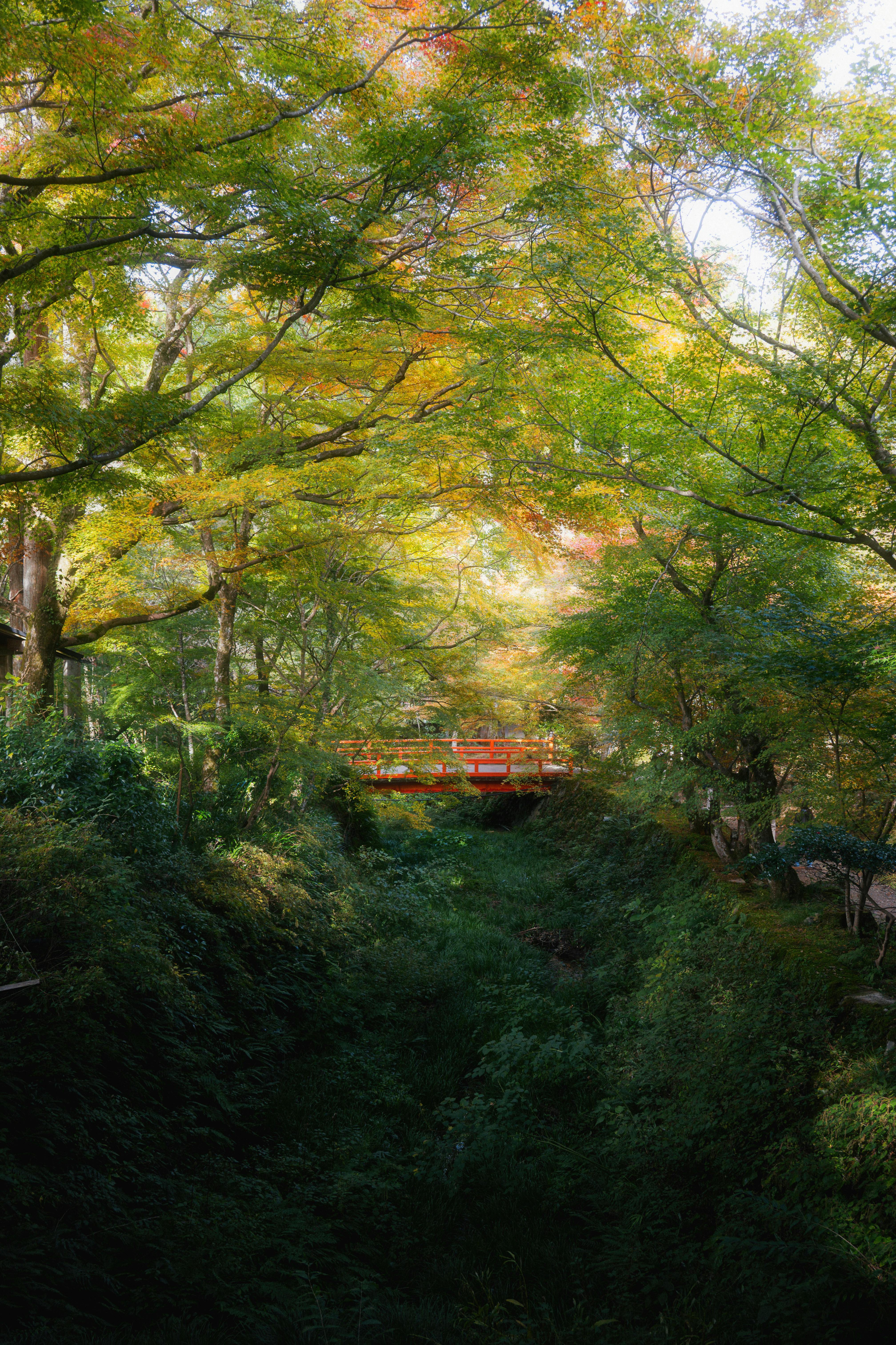 Bokep+Japan+Montok+Pelajar Photos, Download The BEST Free Bokep+Japan+Montok+Pelajar Stock ...