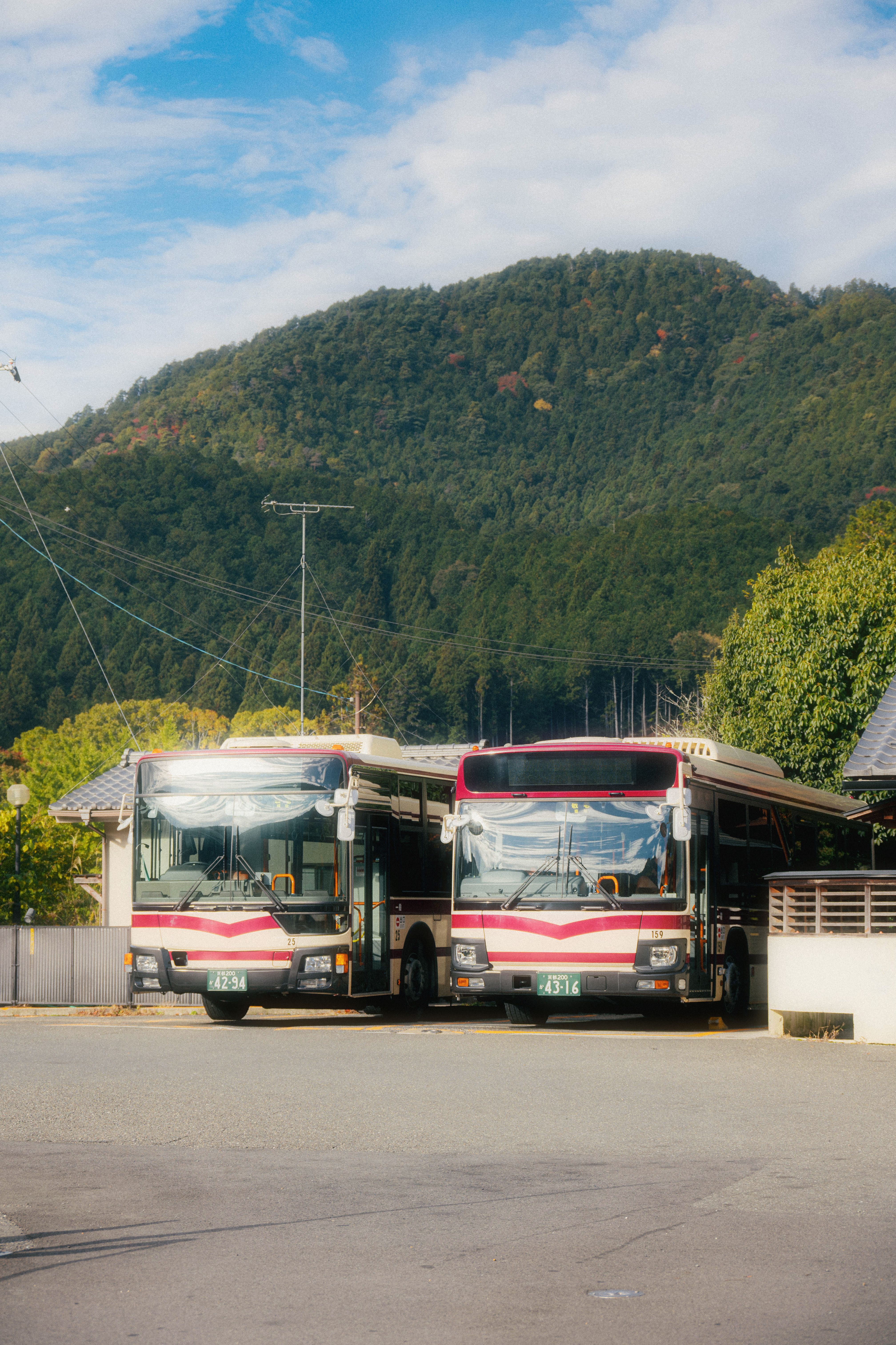 Public Transit Buses Photos, Download The BEST Free Public Transit ...