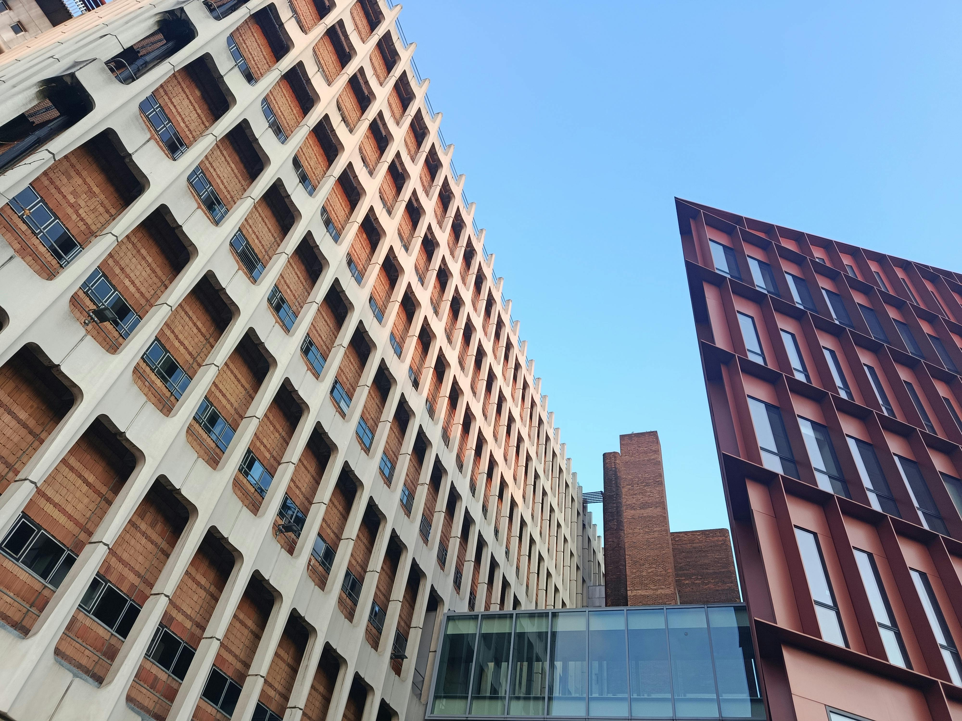 46.389+ Fotos y Imágenes de Frames+chicken Gratis · Banco de Fotos Gratis