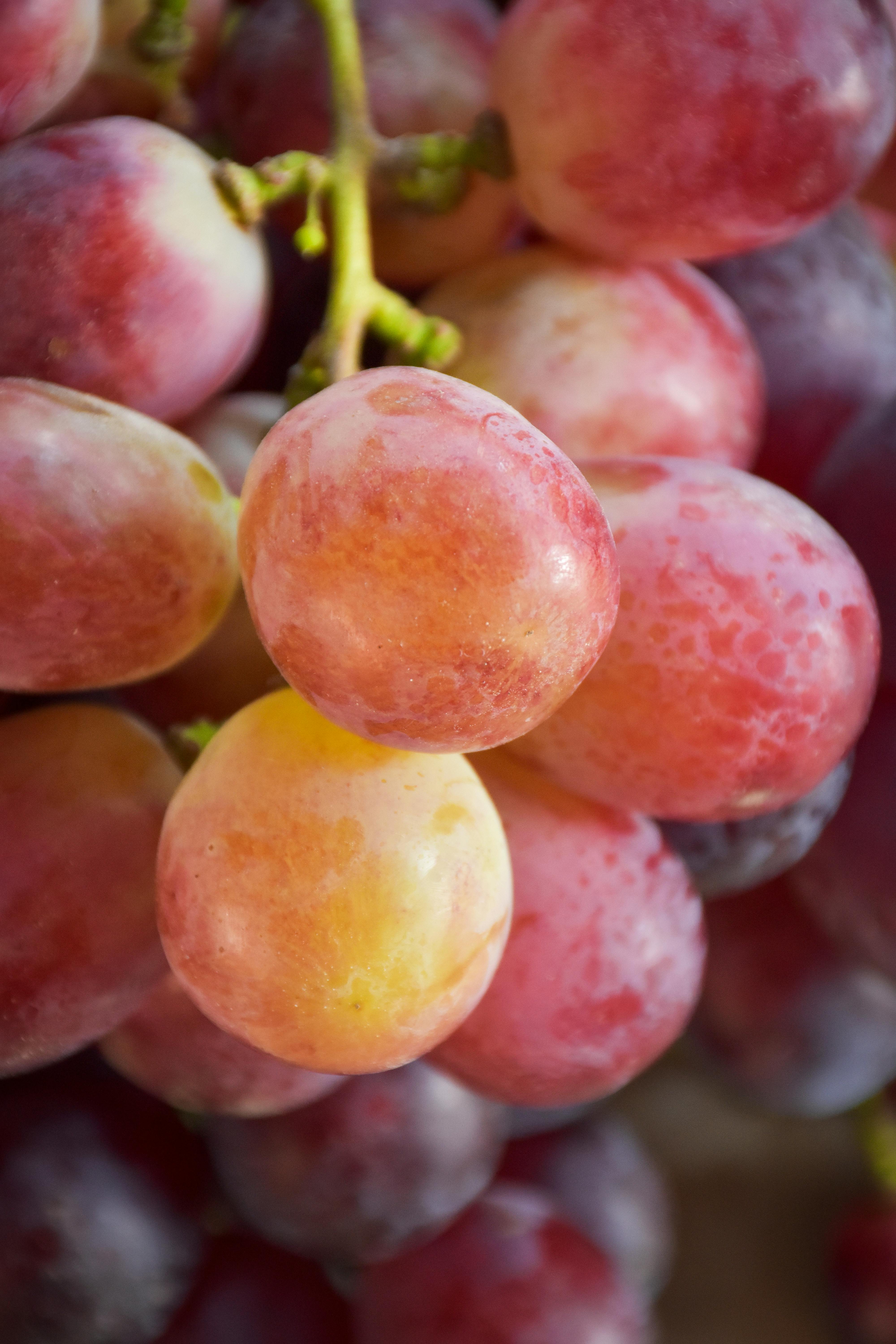 Grapes Wallpaper Photos, Download The BEST Free Grapes Wallpaper Stock ...