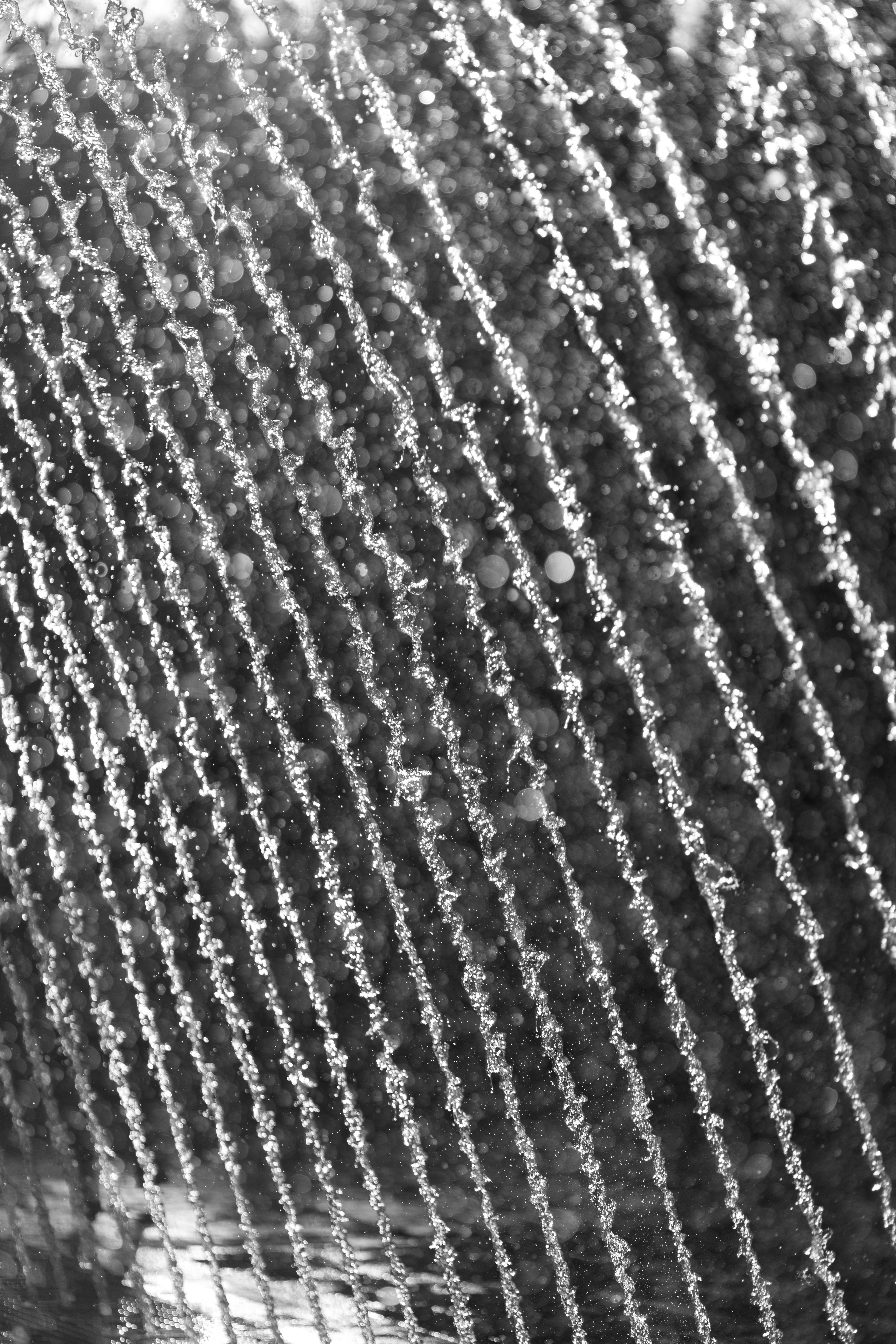 Horse Transparent Background Photos, Download The BEST Free Horse ...