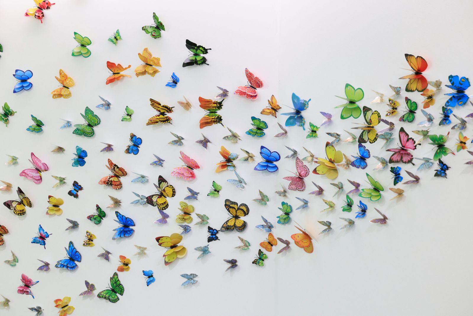 Butterfly Designs Photos, Download The BEST Free Butterfly Designs ...