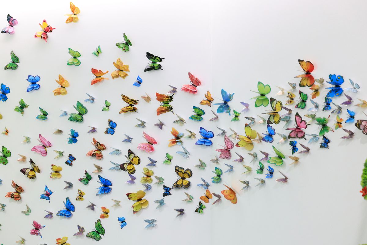 Butterfly Designs Photos, Download The BEST Free Butterfly Designs ...