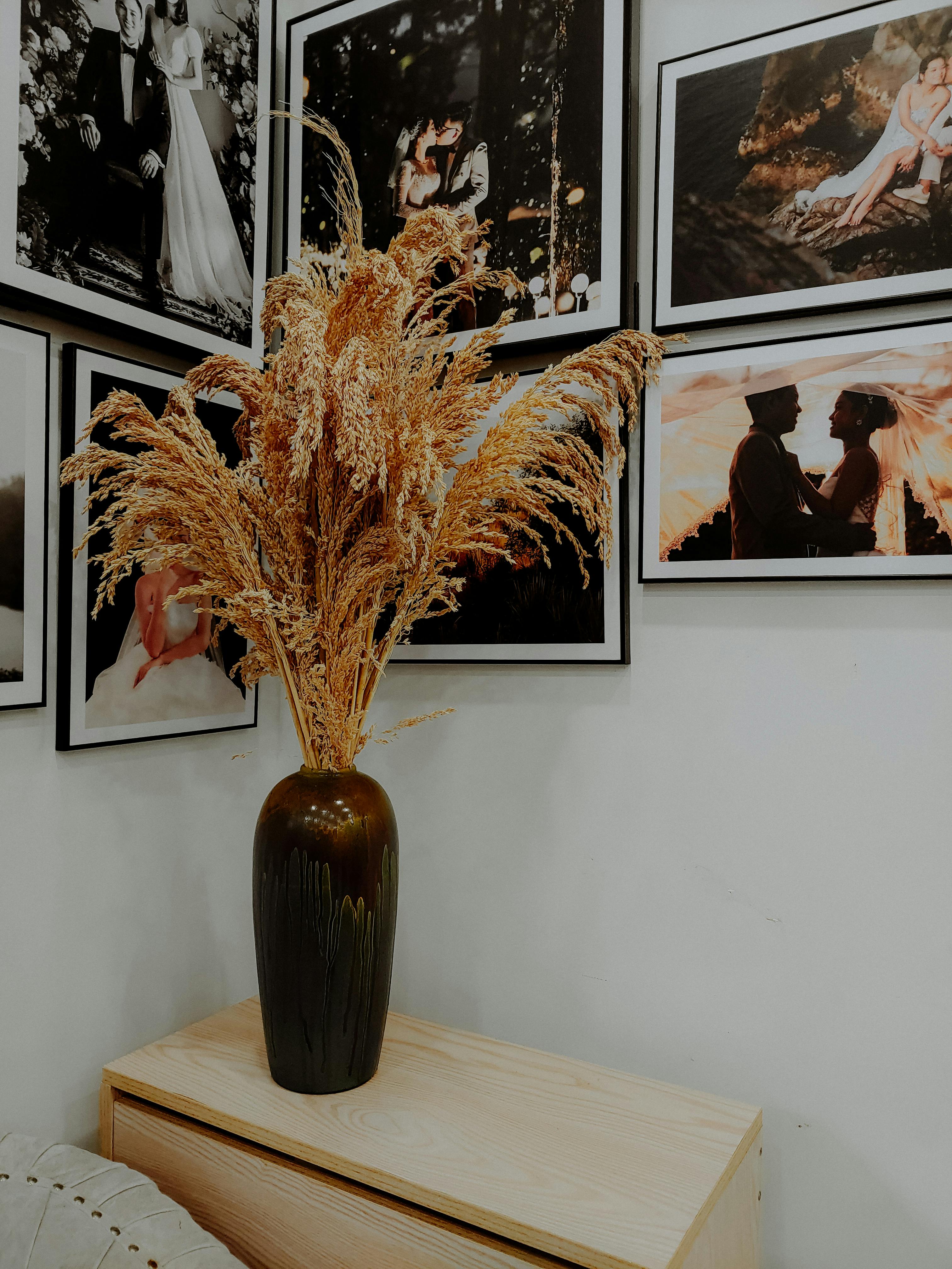 Home+Official+Video Photos, Download The BEST Free Home+Official+Video ...