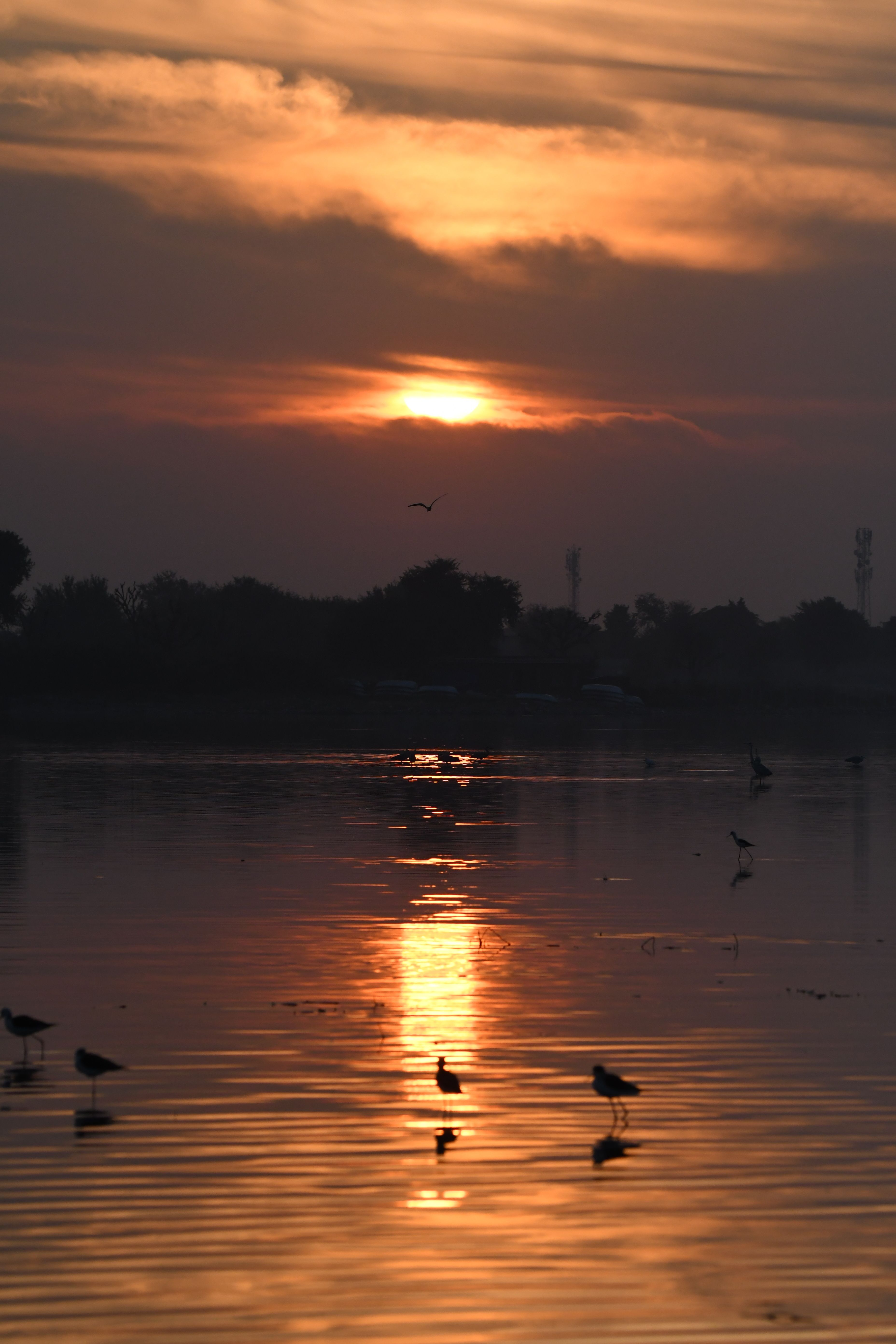 Sunsets Over Water Photos, Download The BEST Free Sunsets Over Water ...