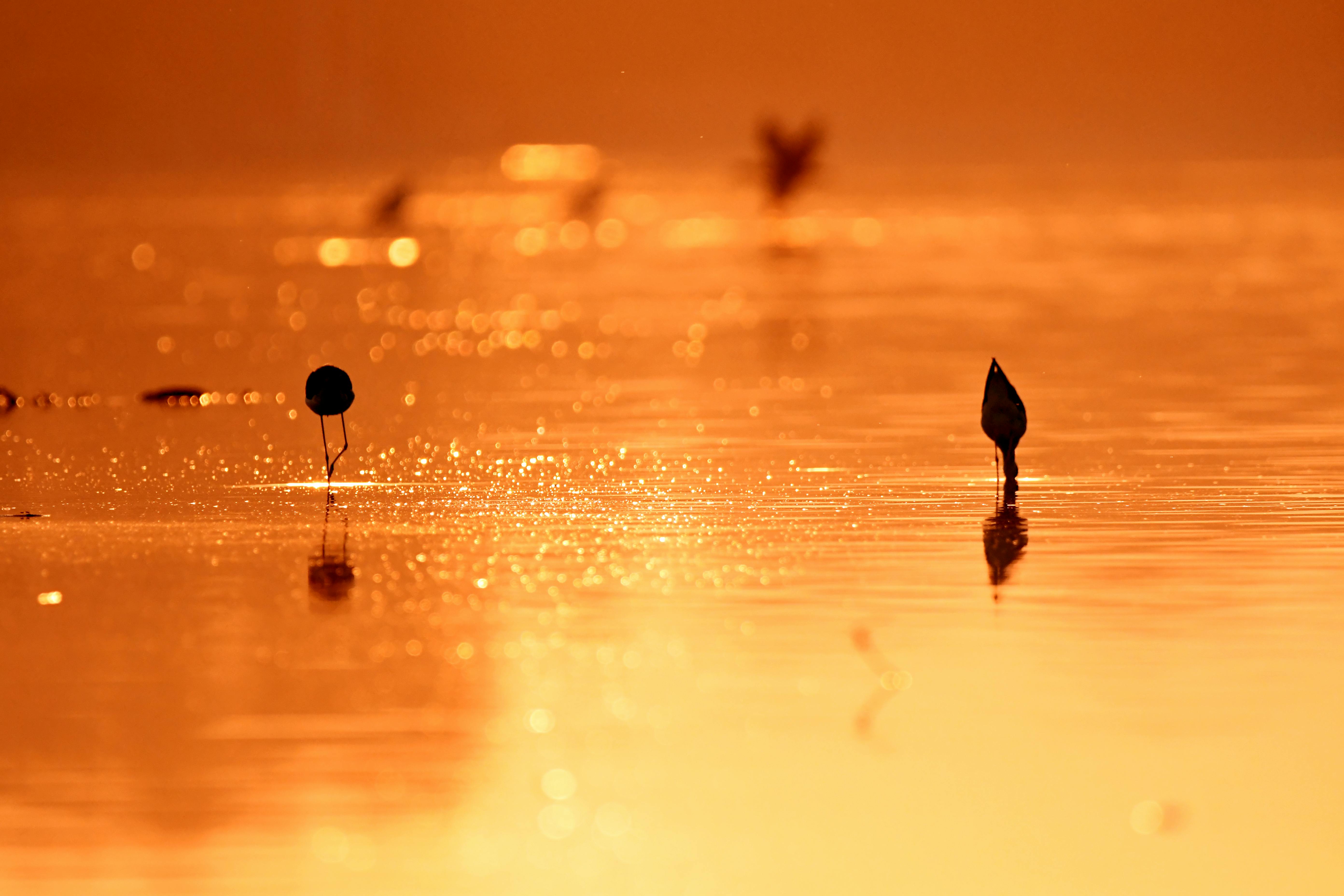 Zen+Felsefesi+Sembolleri Photos, Download The BEST Free Zen+Felsefesi ...