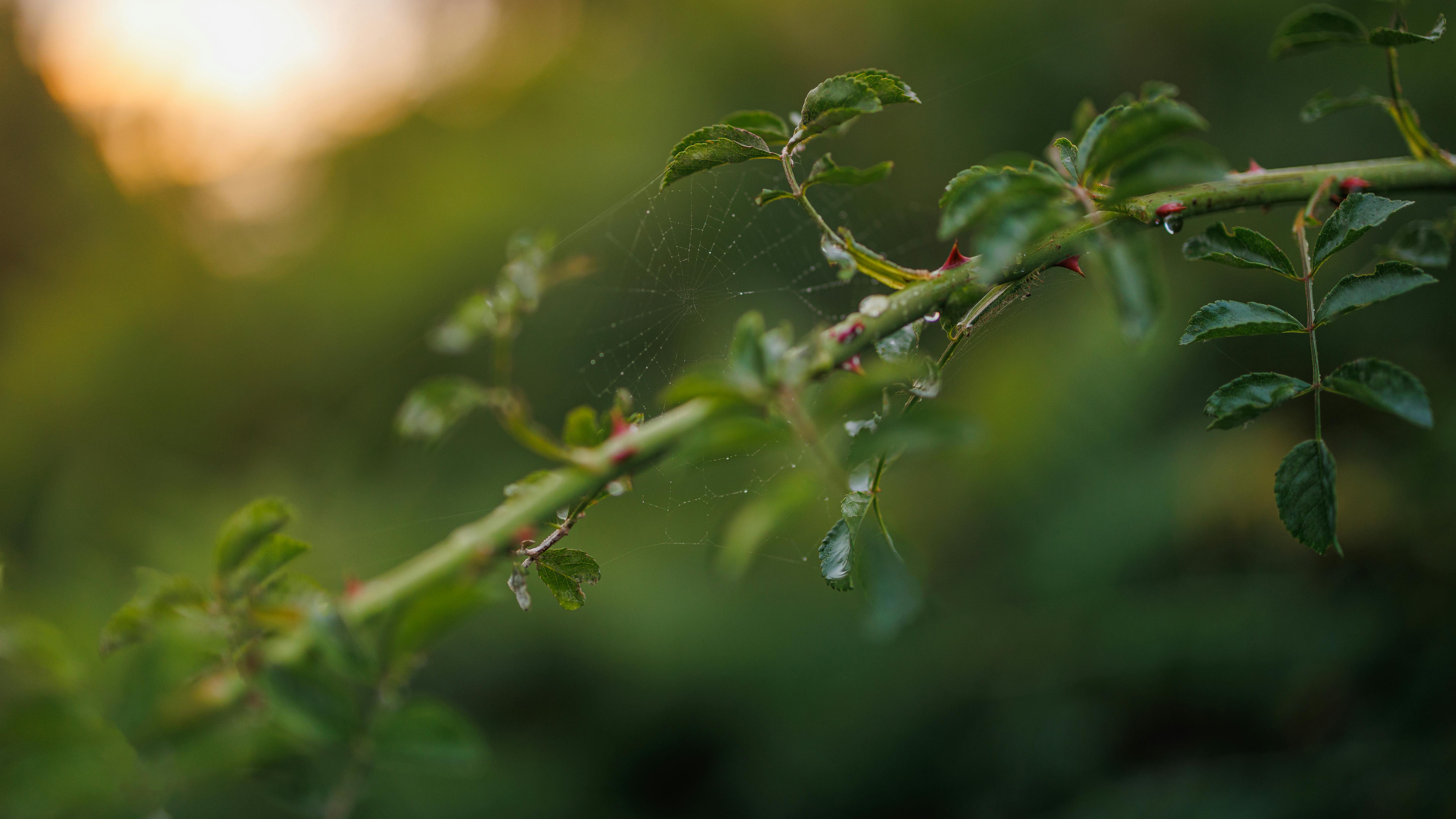 Pookie Wallpaper Photos, Download The BEST Free Pookie Wallpaper Stock ...