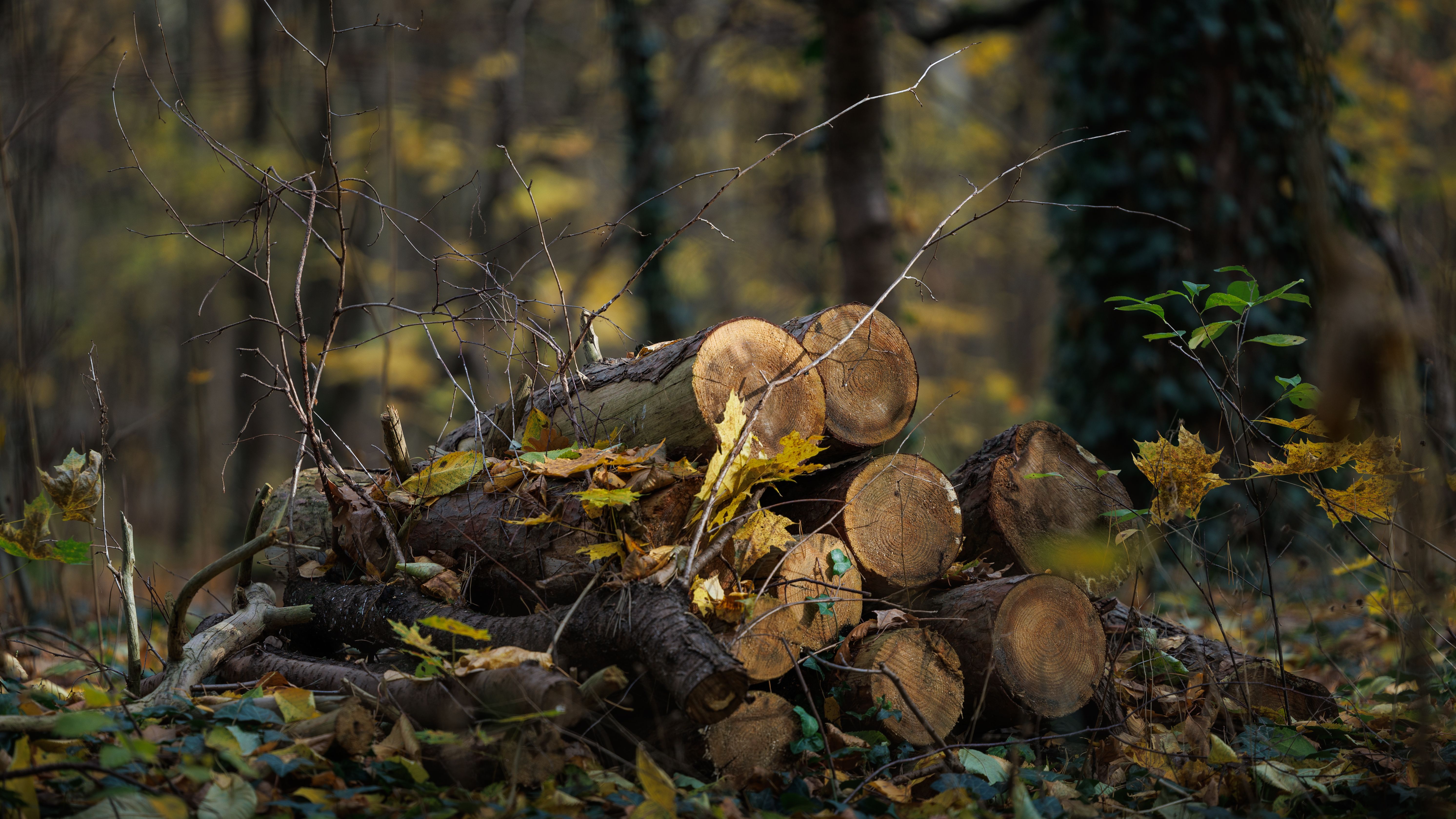 Stacked+Monitor+Wallpaper Photos, Download The BEST Free Stacked ...