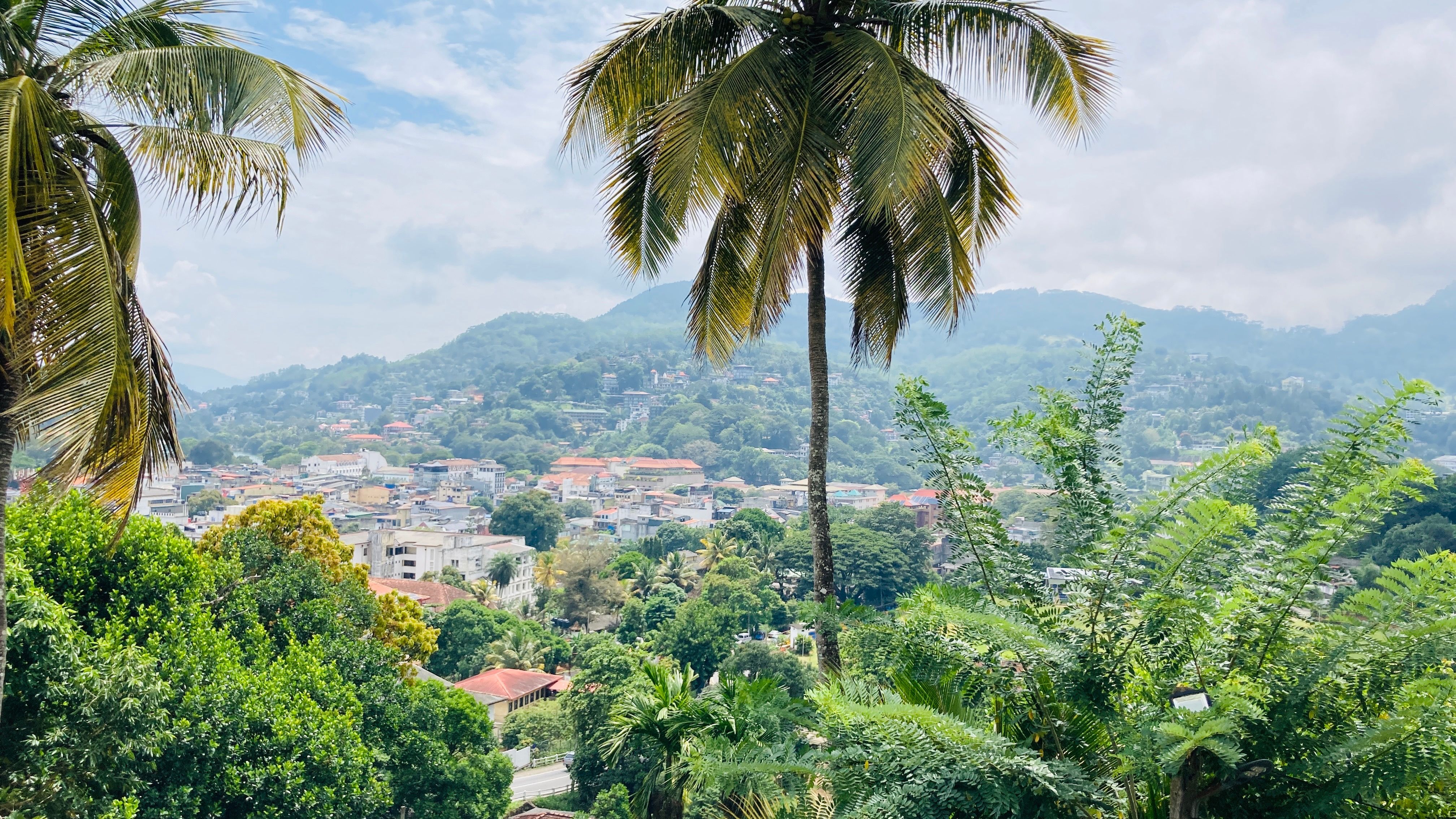 Gorgeous Tropical Cityscape with Lush Greenery · Free Stock Photo