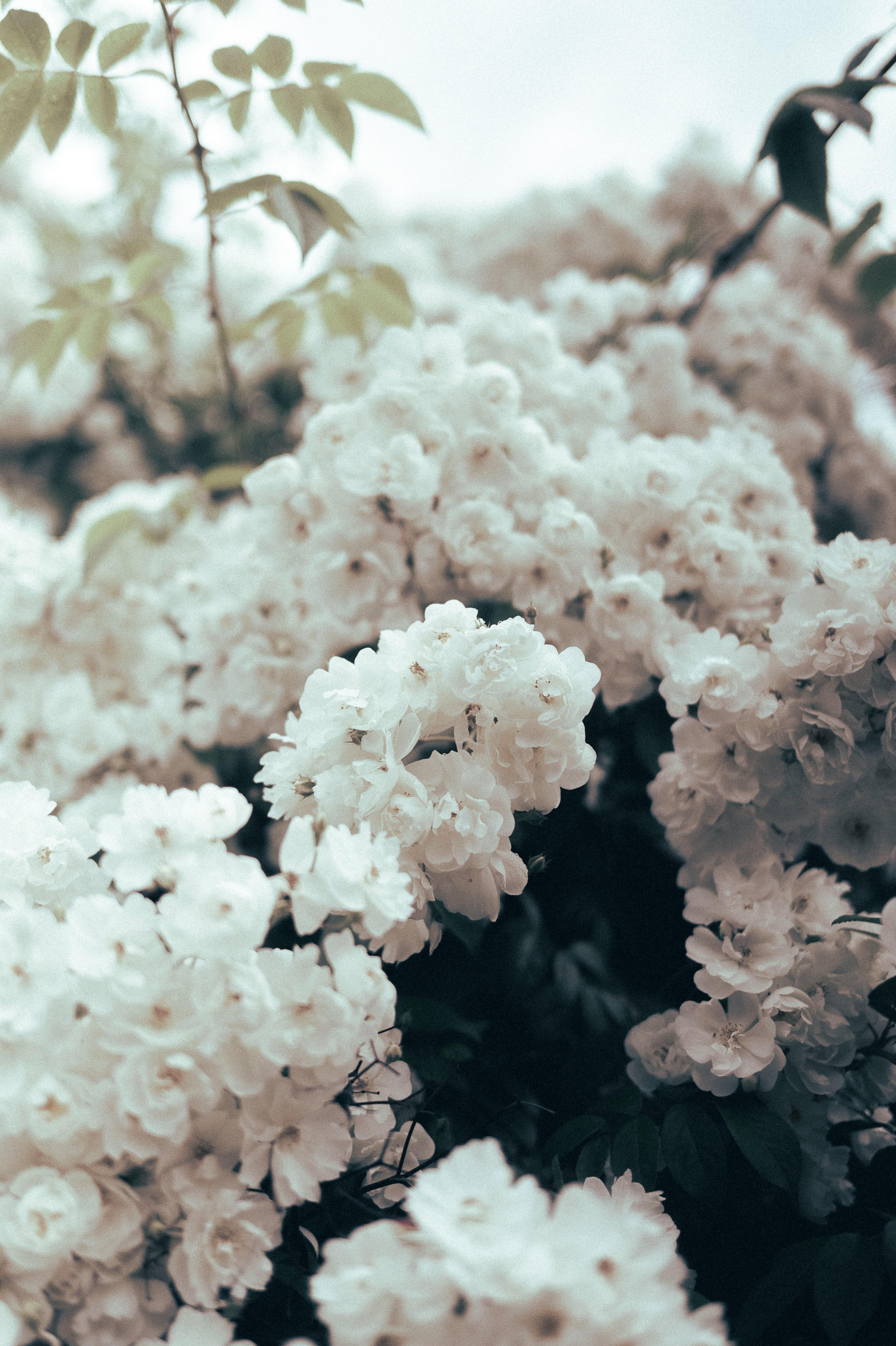 Full+Frontal+Vigina Photos, Download The BEST Free Full+Frontal+Vigina ...