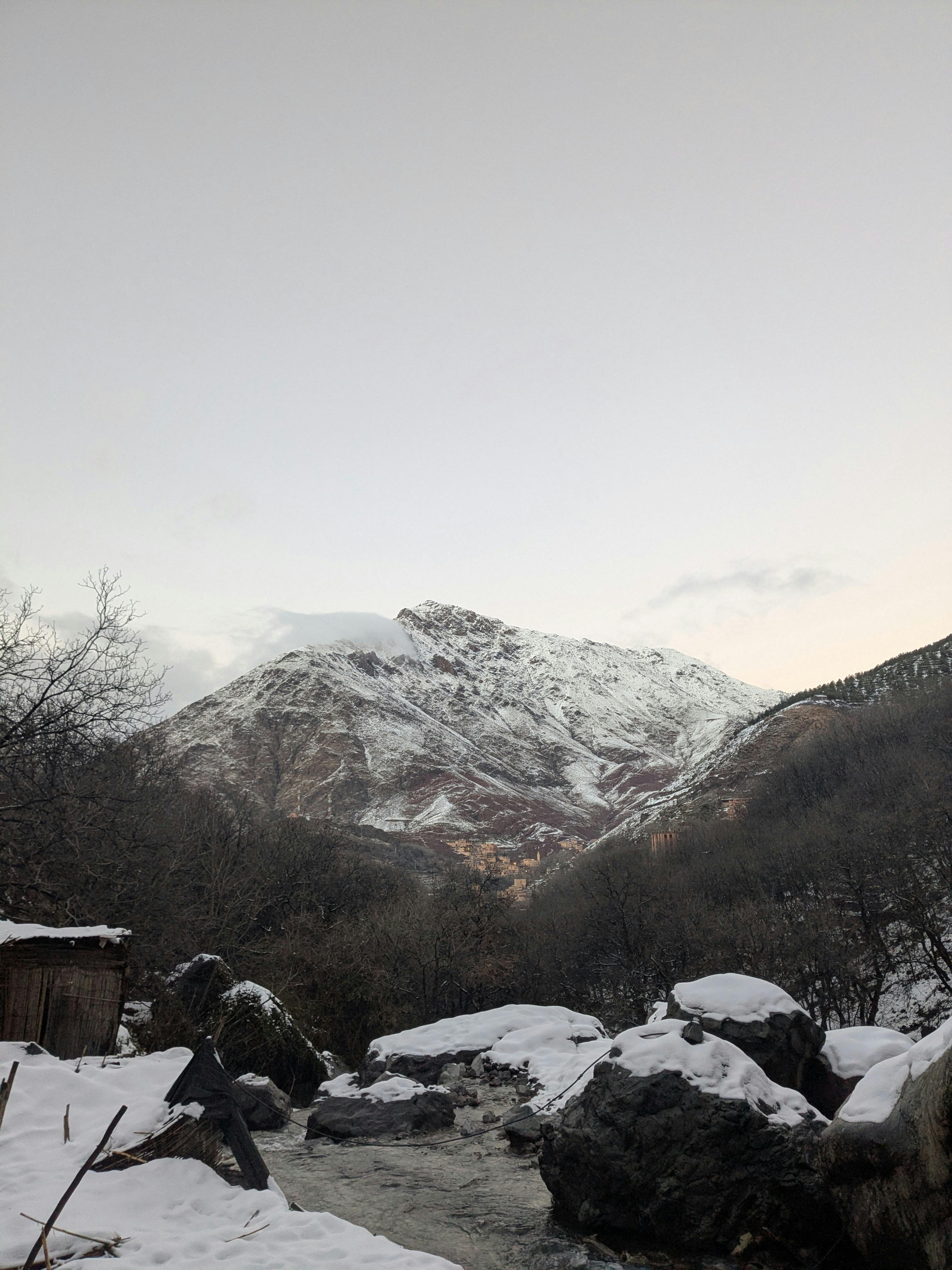 Clean Pfp Photos, Download The BEST Free Clean Pfp Stock Photos & HD Images