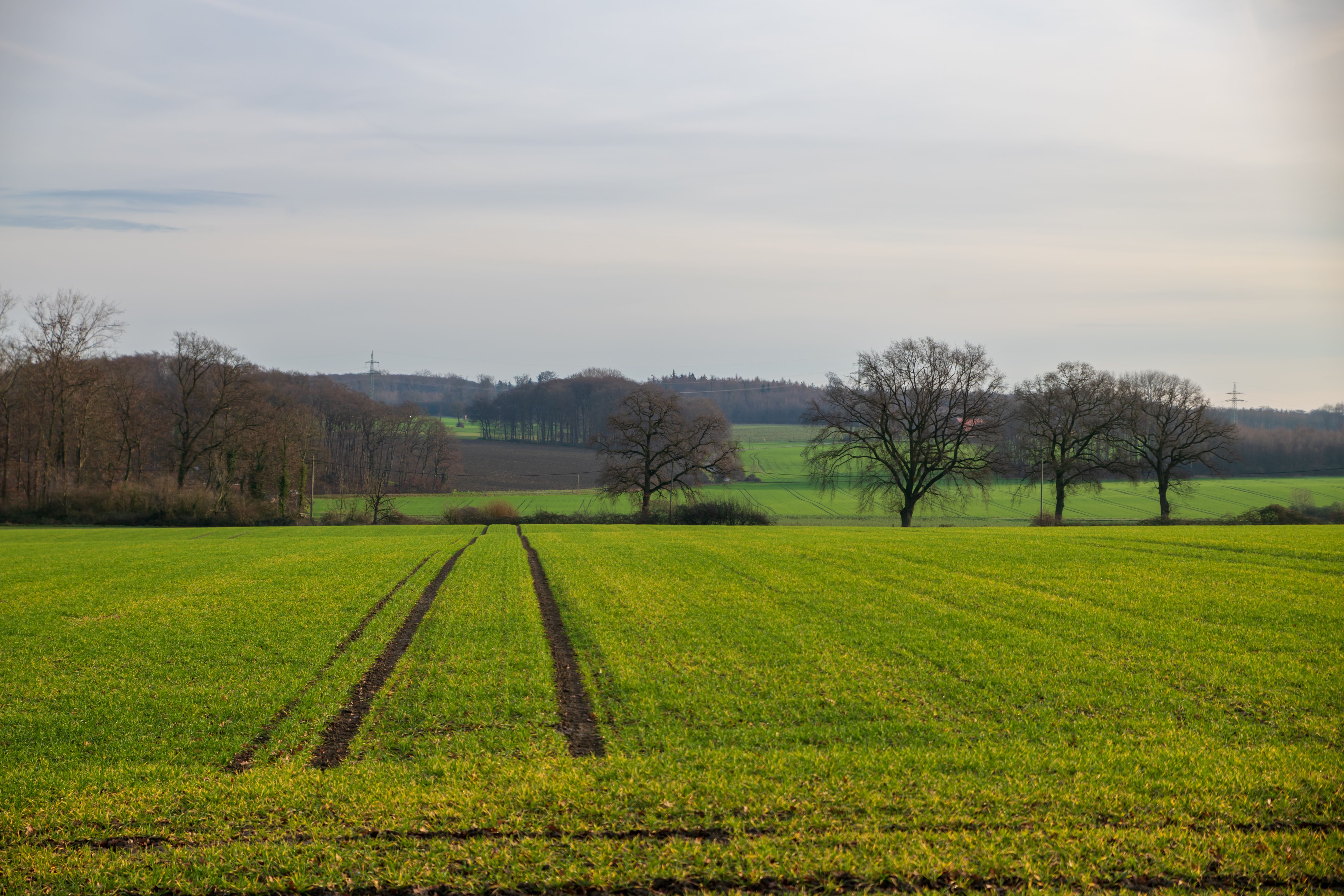 Earth Bund Photos, Download The BEST Free Earth Bund Stock Photos & HD ...
