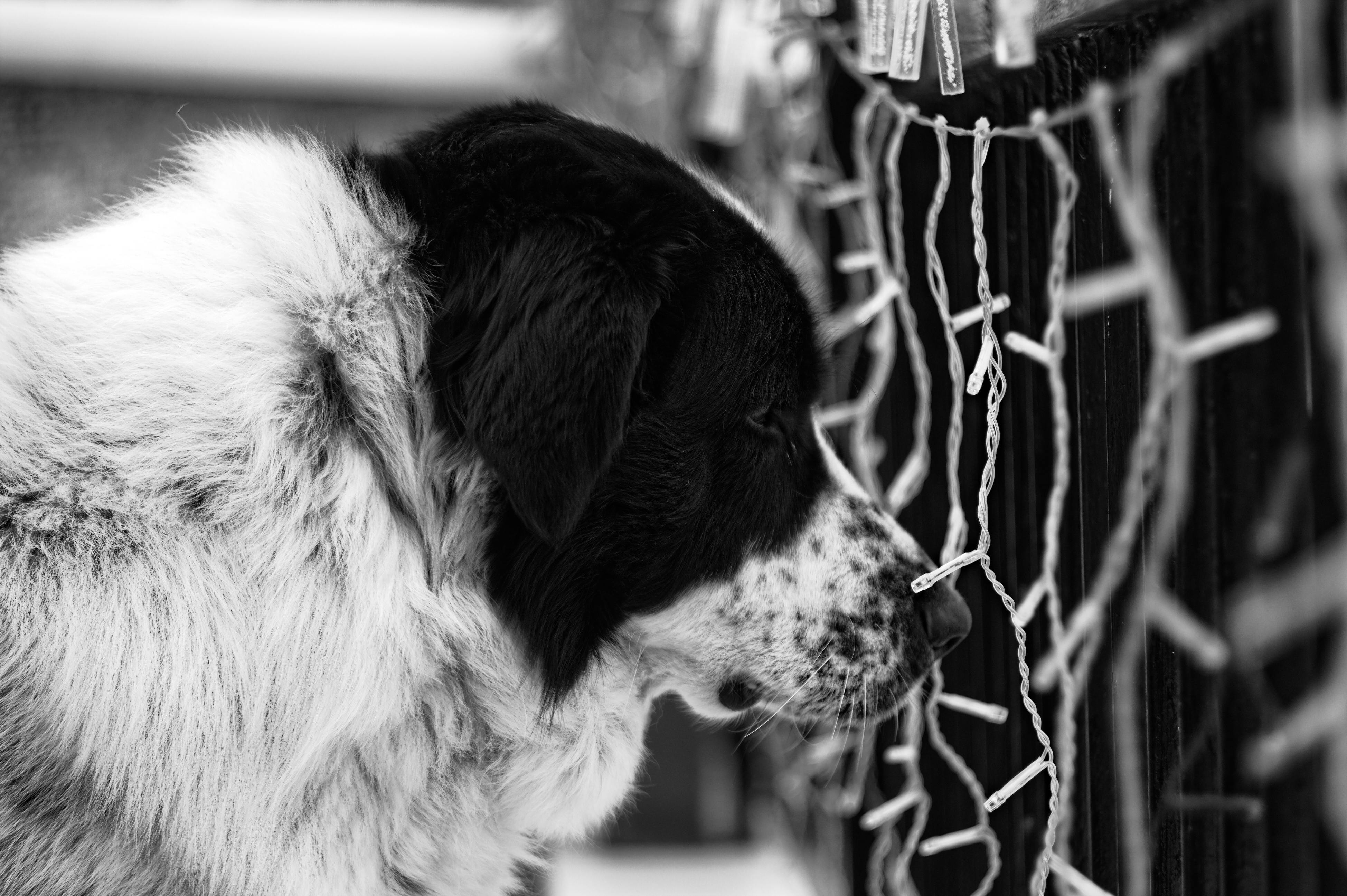 Techtok Wallpaper Photos, Download The BEST Free Techtok Wallpaper ...