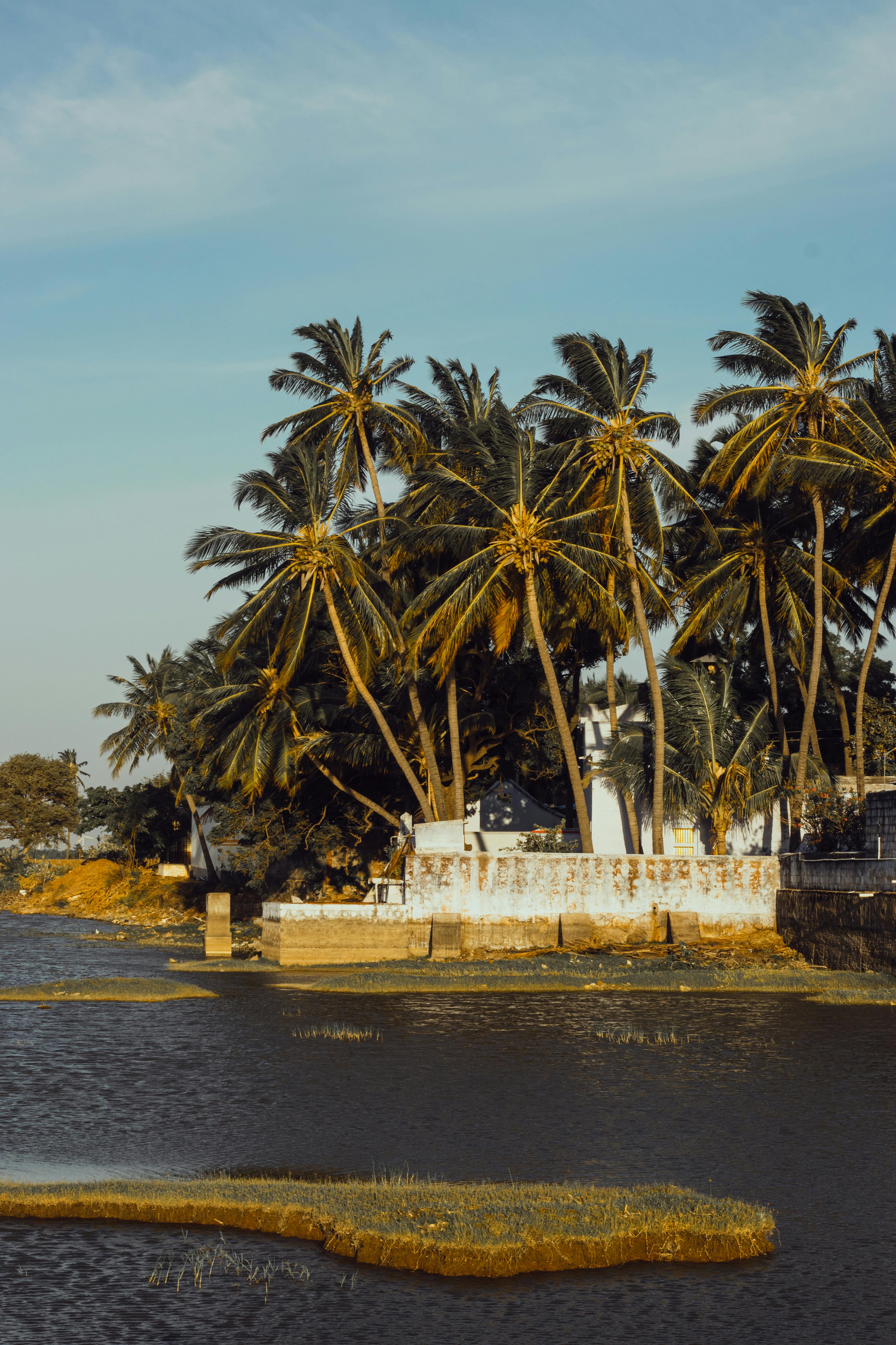 Sols+Rng+Equinox+Wallpaper Photos, Download The BEST Free Sols+Rng ...