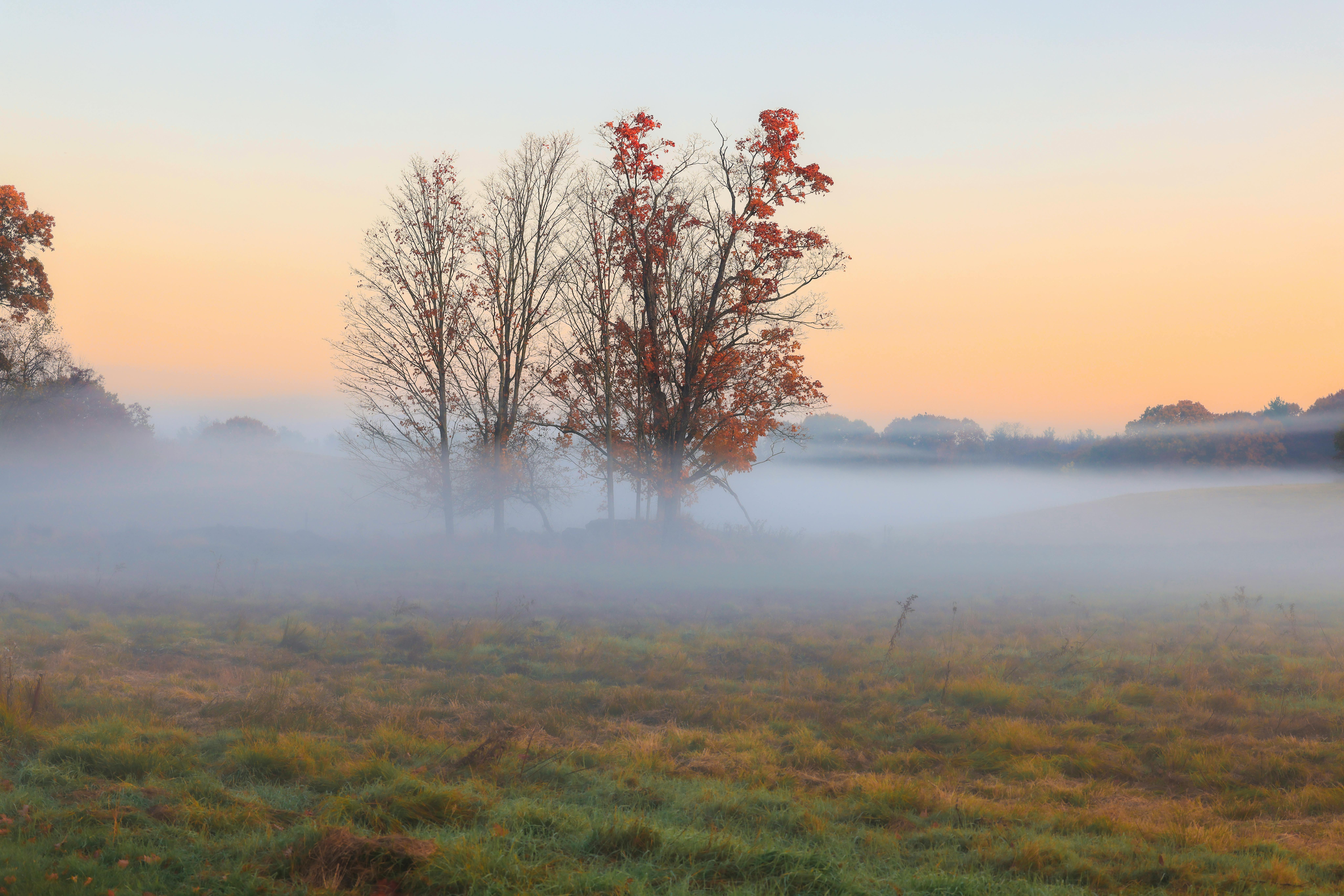 92,961+以上の無料Hd dh hd t wallpaper画像