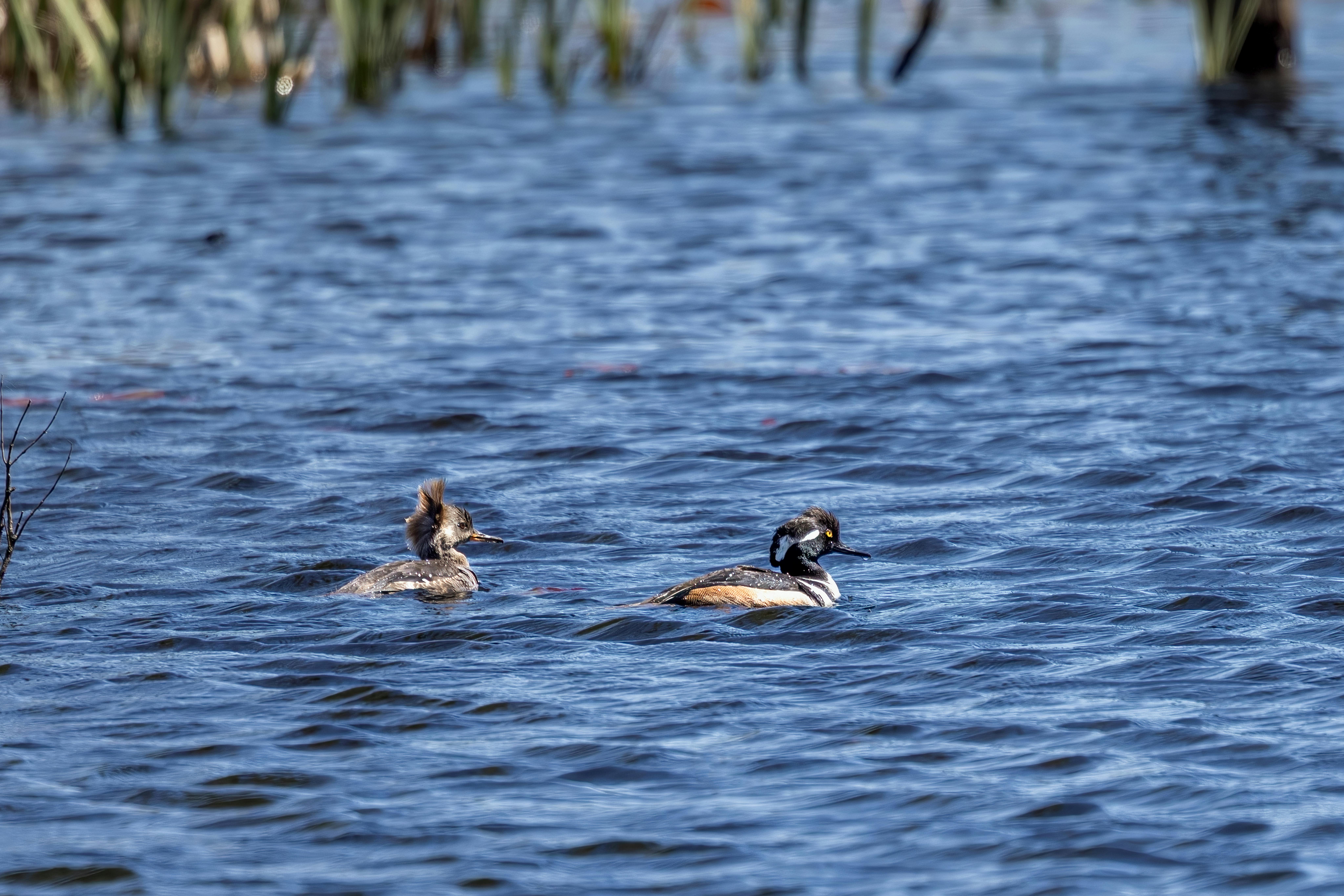 Tralala+Tralala+Hd Photos, Download The BEST Free Tralala+Tralala+Hd ...