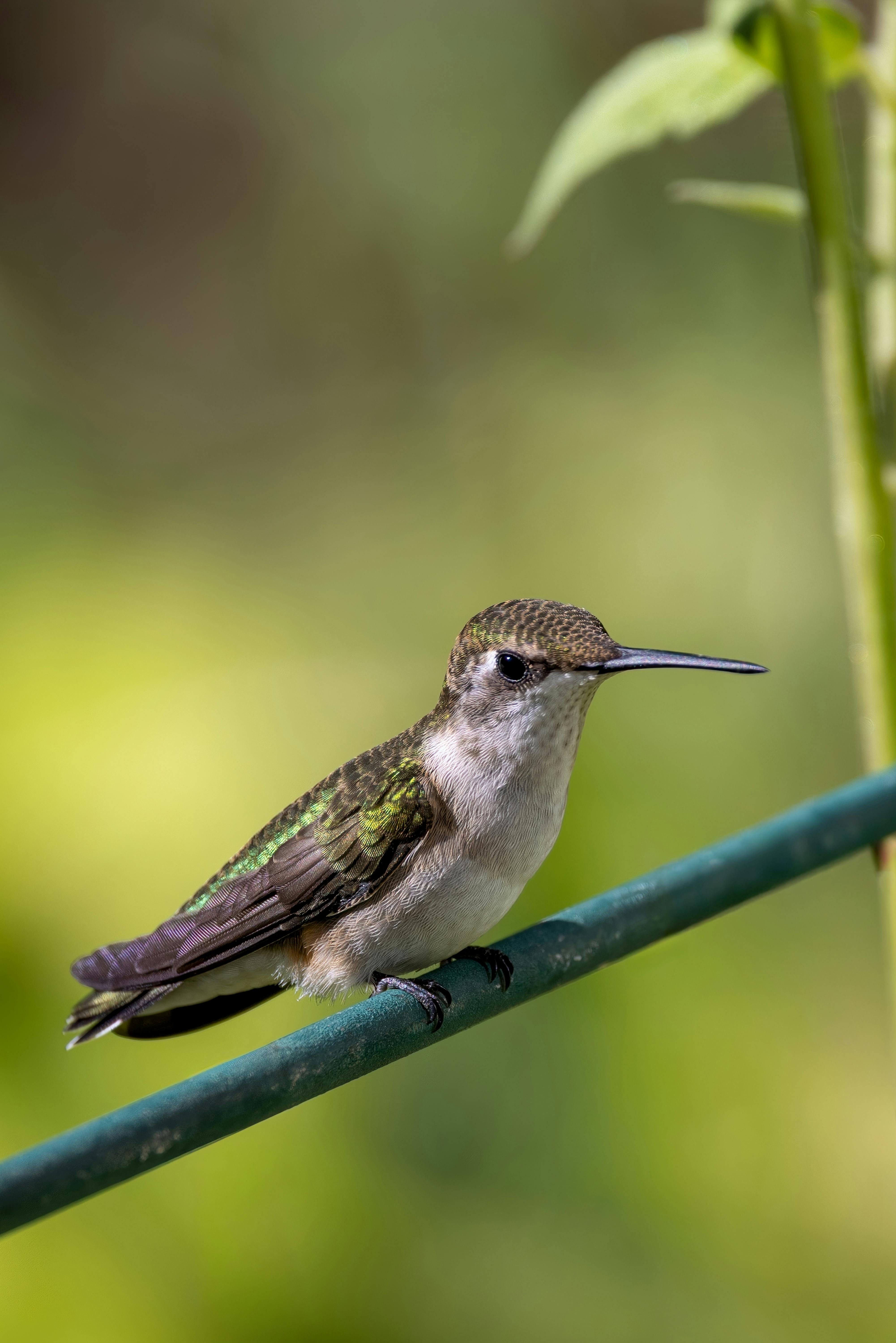 60.000+ Aadhar Pan Link Hd Wallpaper Bilder und Fotos · Kostenlos ...