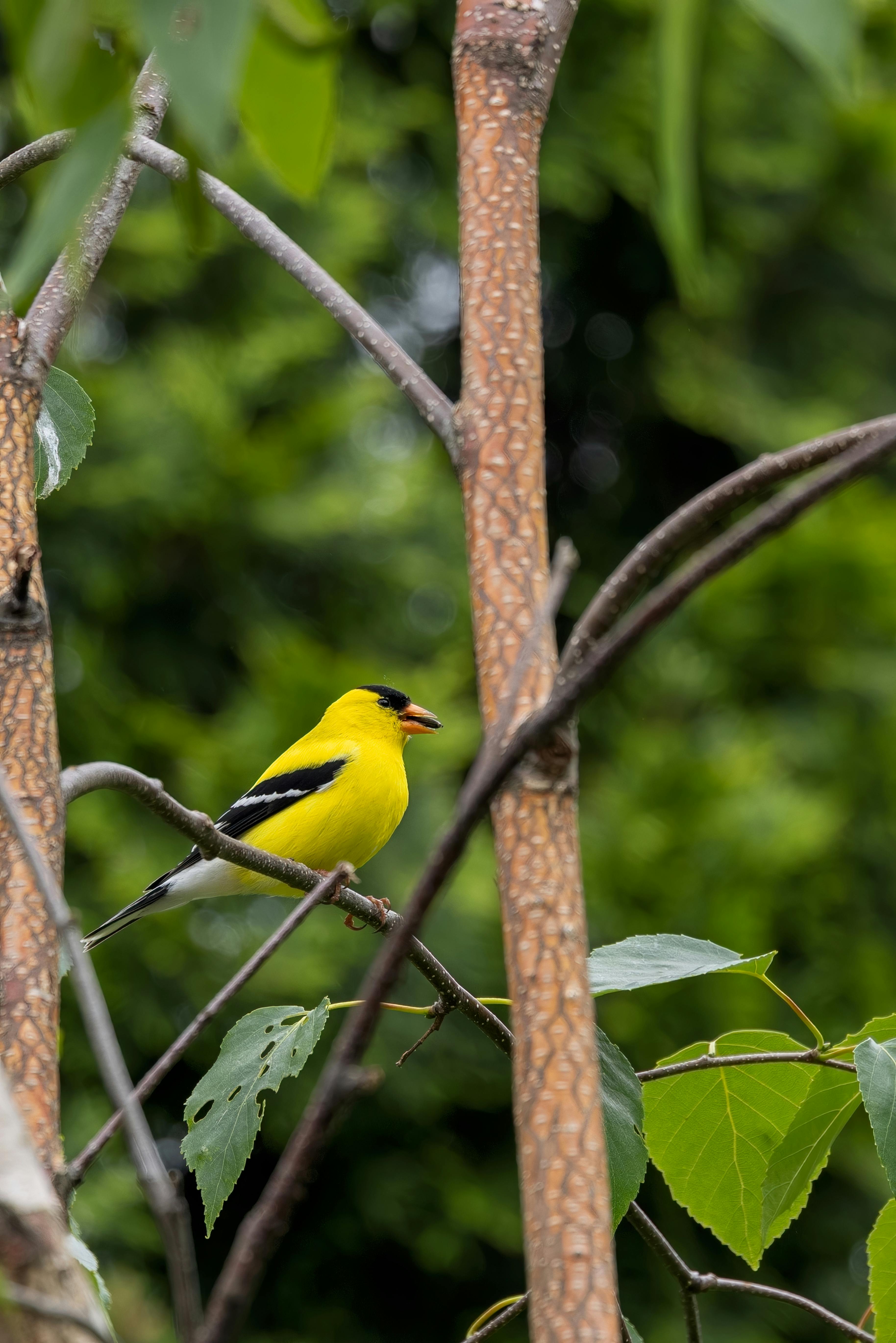 60,000+张最精彩的“Aadhar Pan Link Hd Wallpaper”图片 · 100%免费下载 · Pexels素材图片