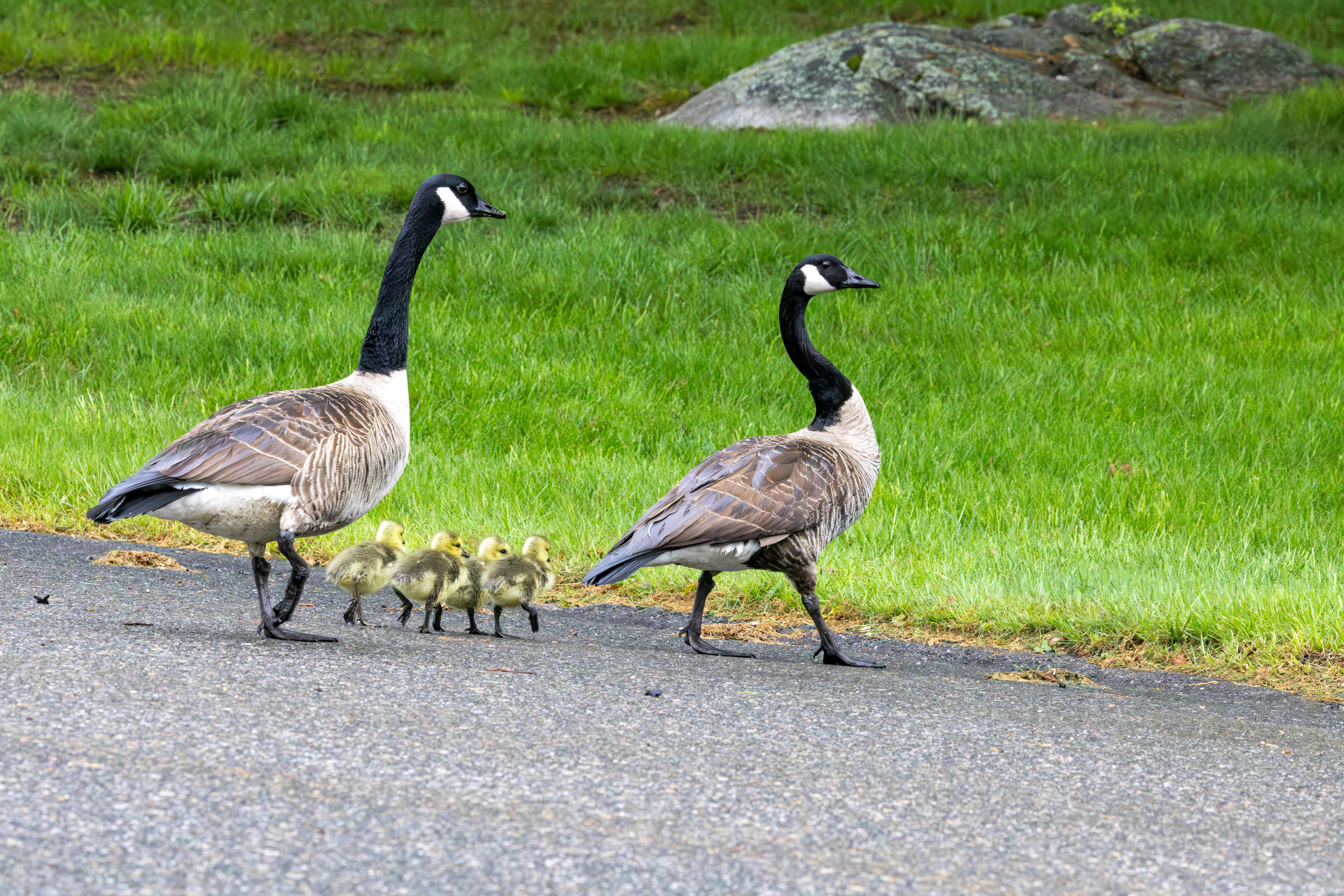 60.000+ Sarkari Naukri Hd Wallpaper Bilder und Fotos · Kostenlos ...