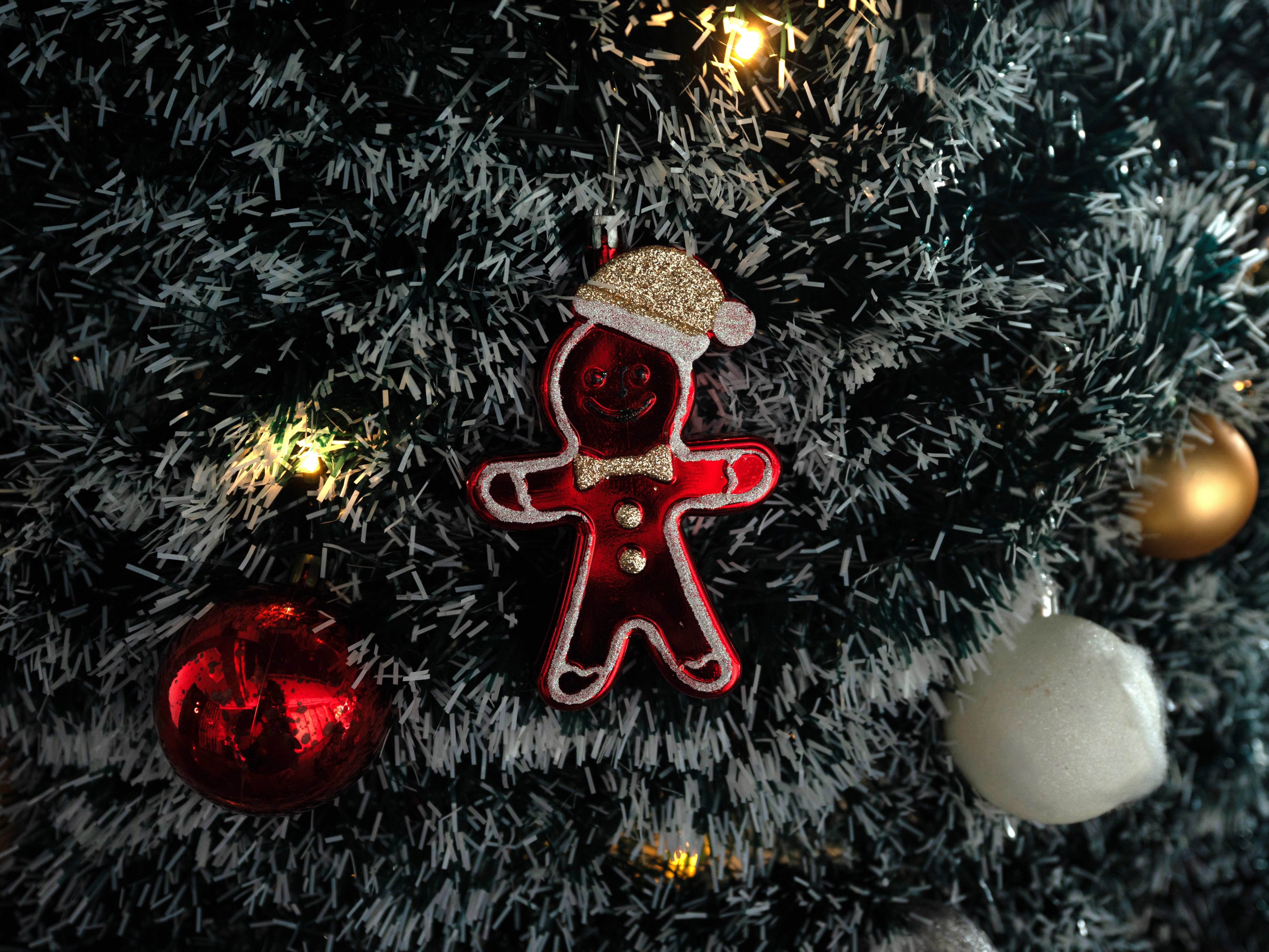 Gingerbread Man Photos, Download The BEST Free Gingerbread Man Stock ...