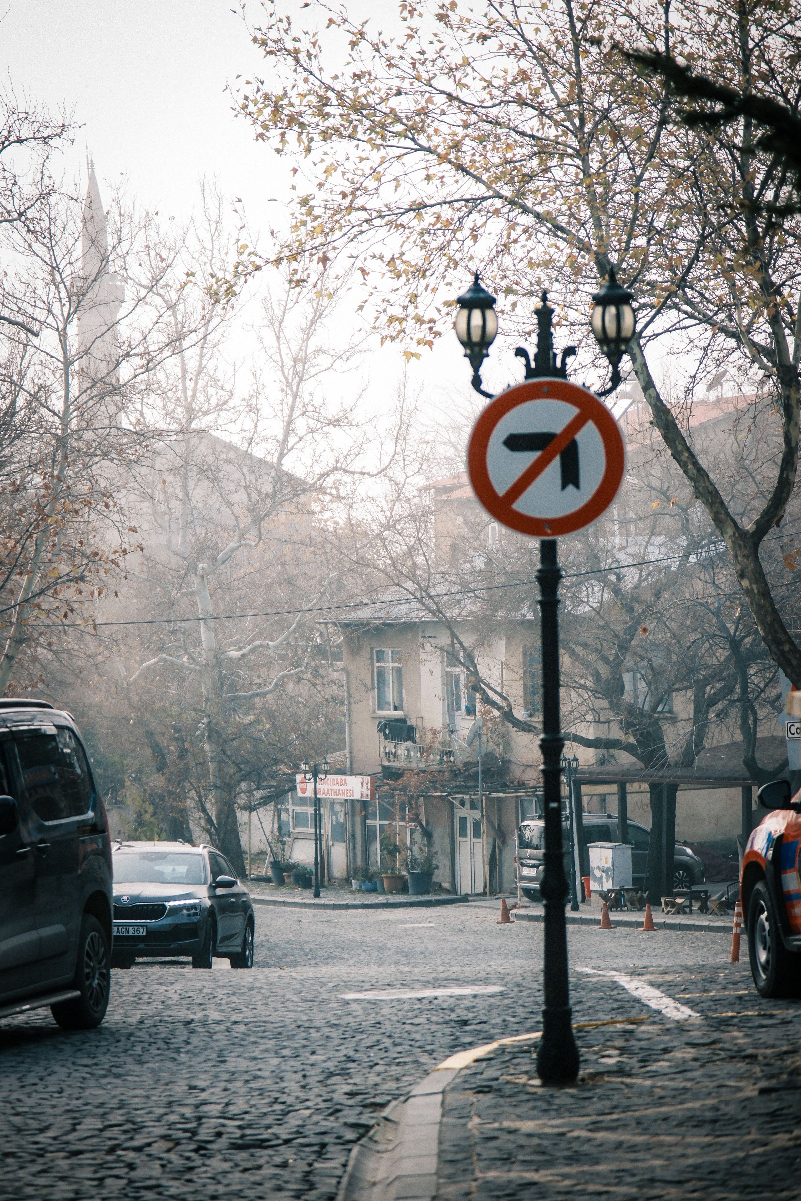 Urban Street with No Right Turn Sign in Fall · Free Stock Photo