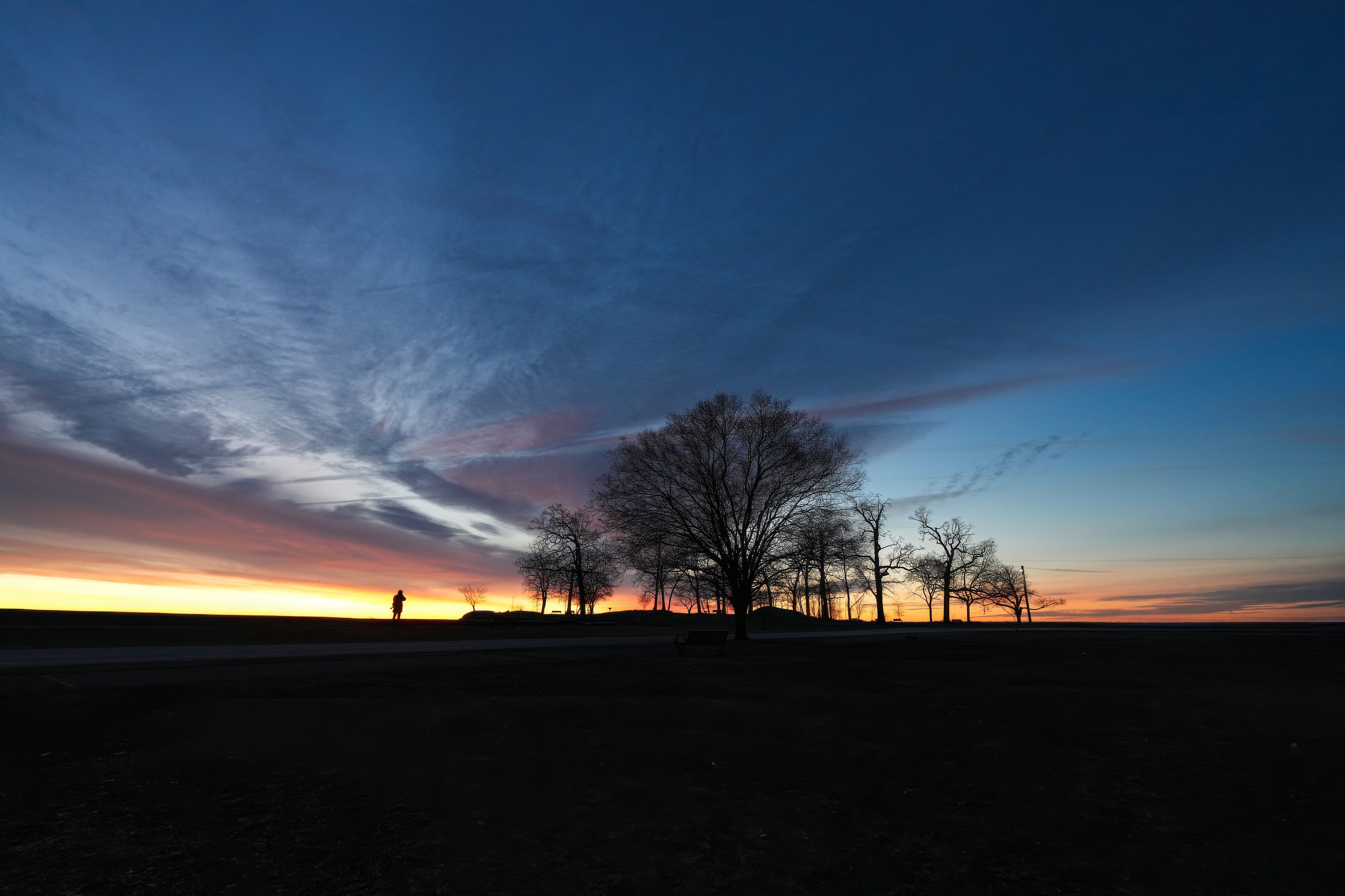 Silhouette of Trees Against Twilight Sky · Free Stock Photo