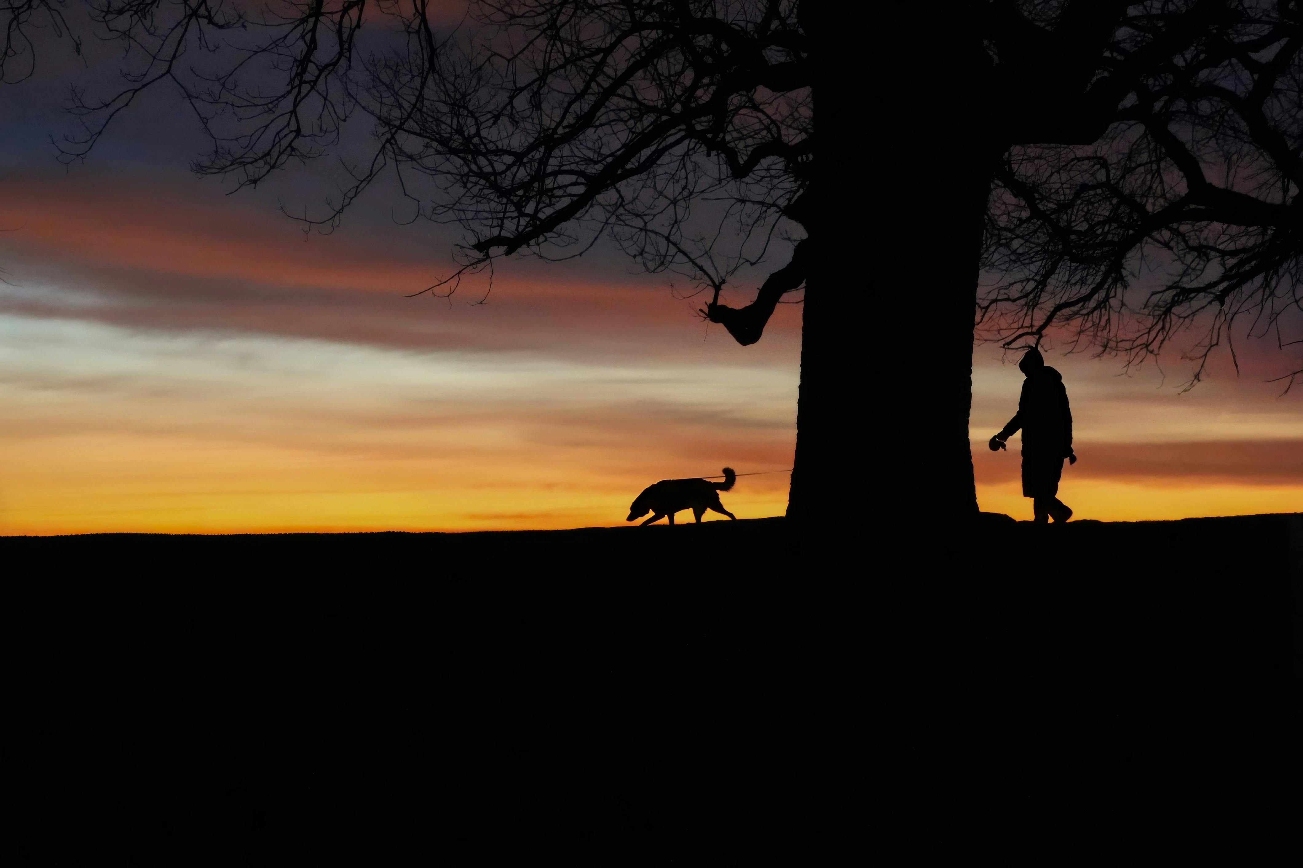 Walking On Path Dramatic Lighting Photos, Download The BEST Free ...