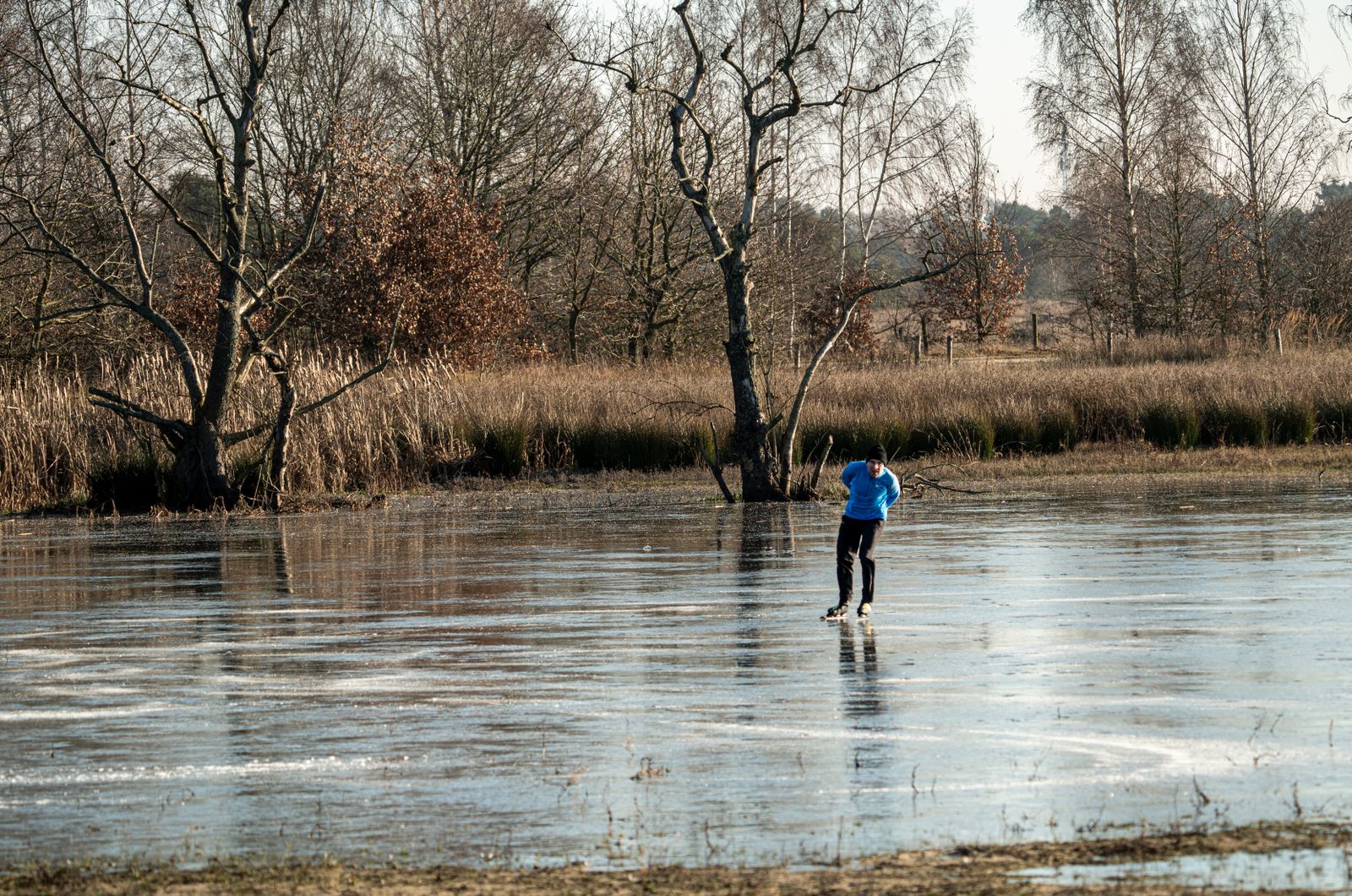 Ice Agents Photos, Download The BEST Free Ice Agents Stock Photos & HD ...