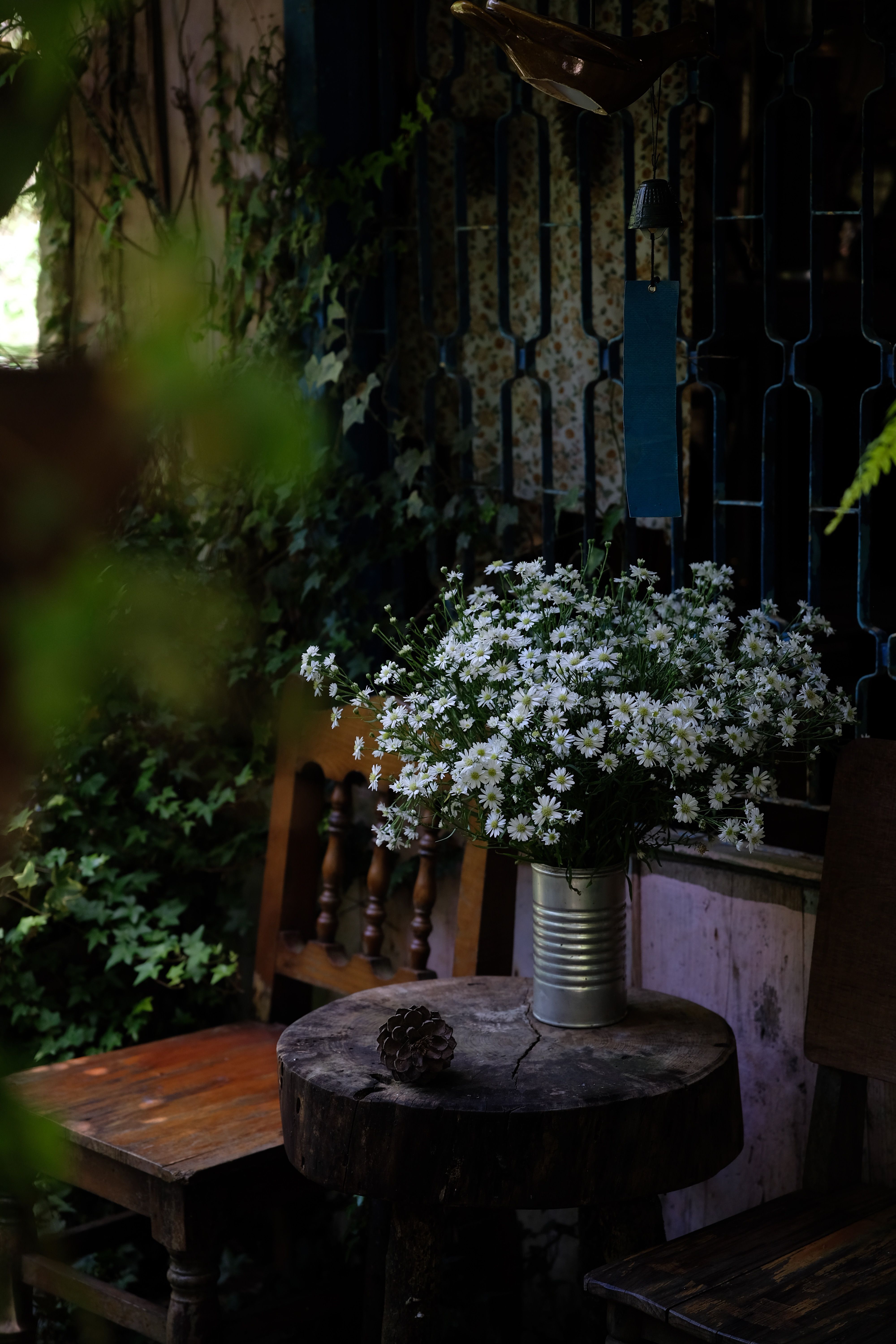 Tin+Hc Photos, Download The BEST Free Tin+Hc Stock Photos & HD Images