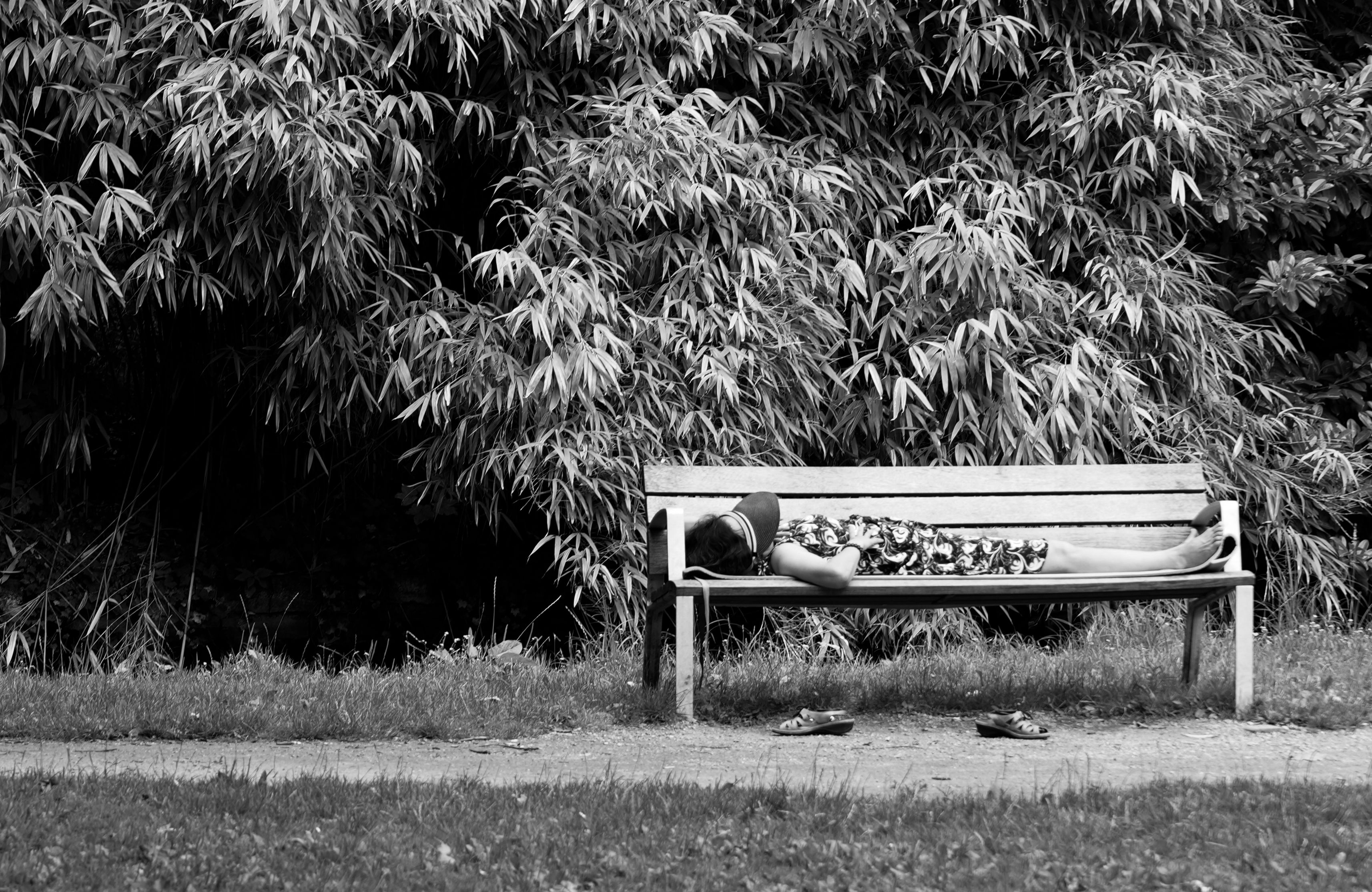 Off The Bench Photos, Download The BEST Free Off The Bench Stock Photos ...