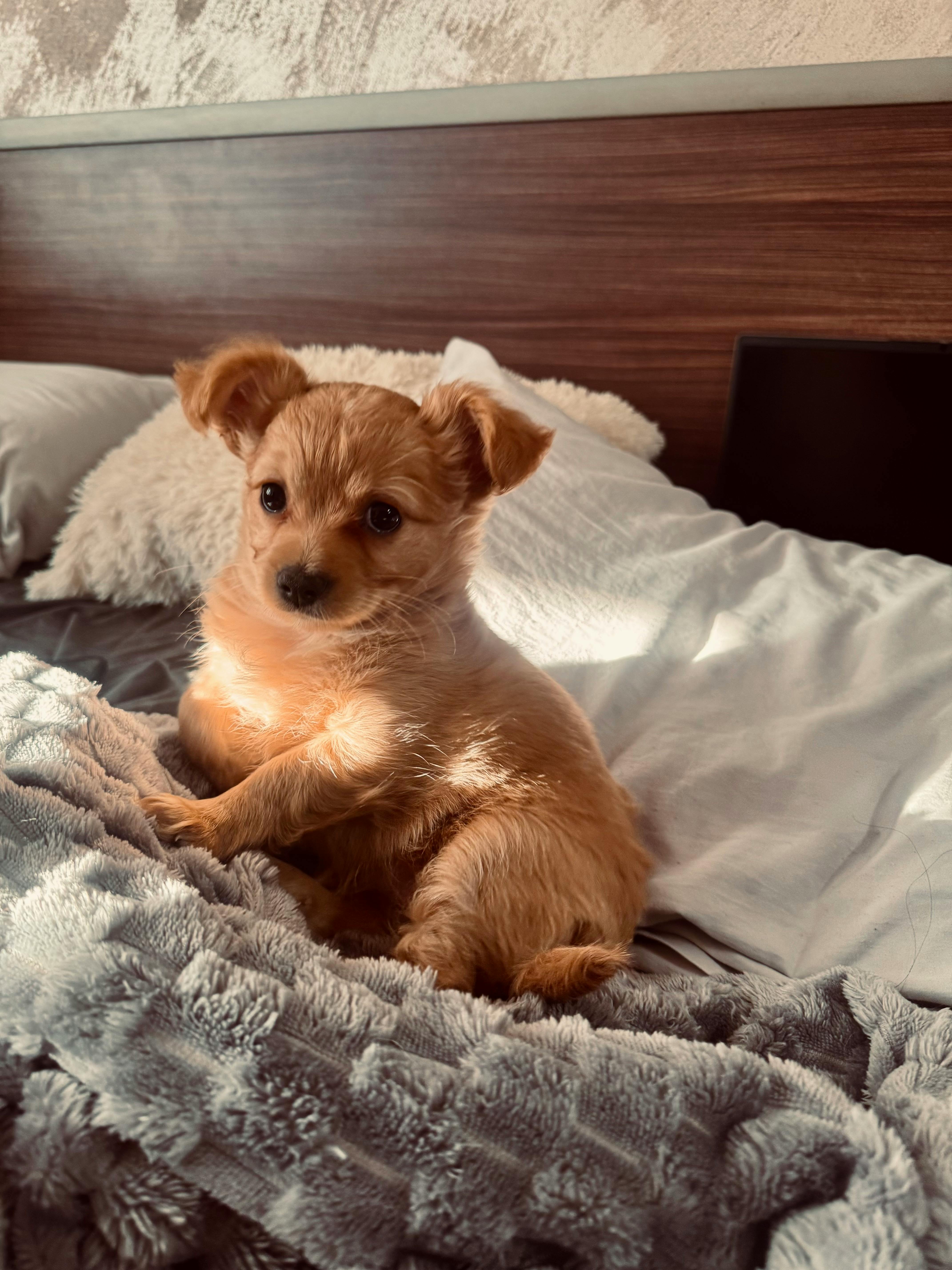 Document+Imager Photos, Download The BEST Free Document+Imager Stock ...