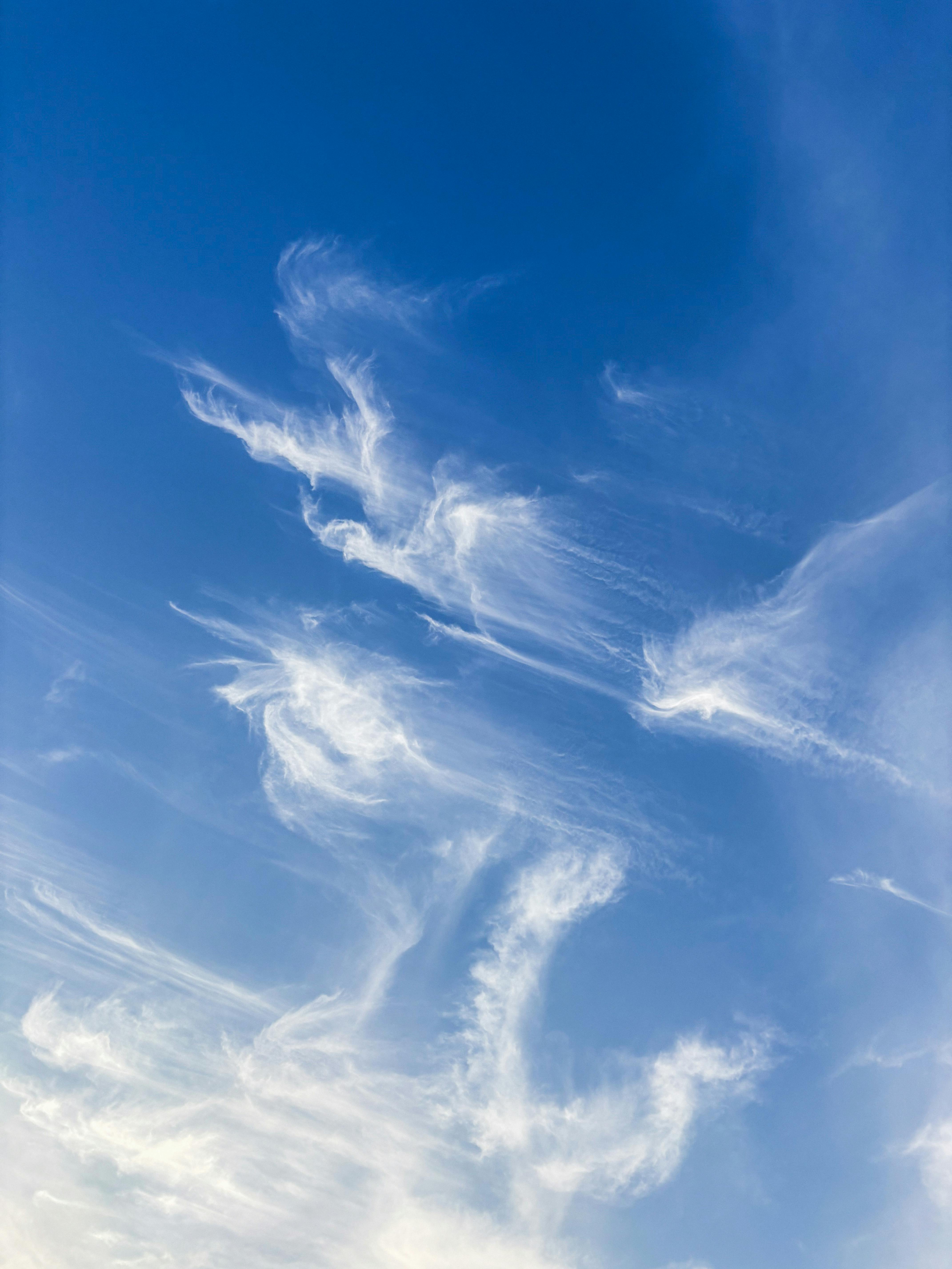 Free Lionel Messi Photos, Download The BEST Free Free Lionel Messi ...